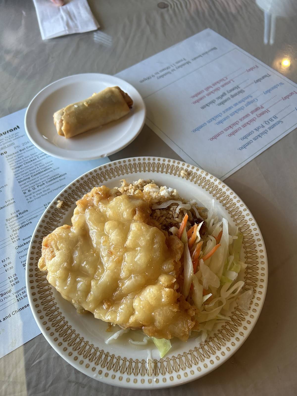 Menu at Spring Roll Restaurant, Winnipeg