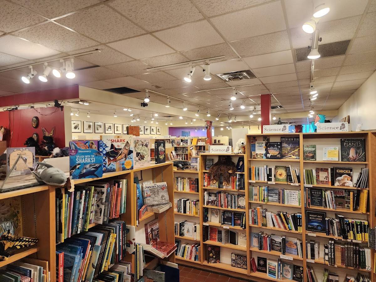 Menu at The Bookshelf cafe, Guelph