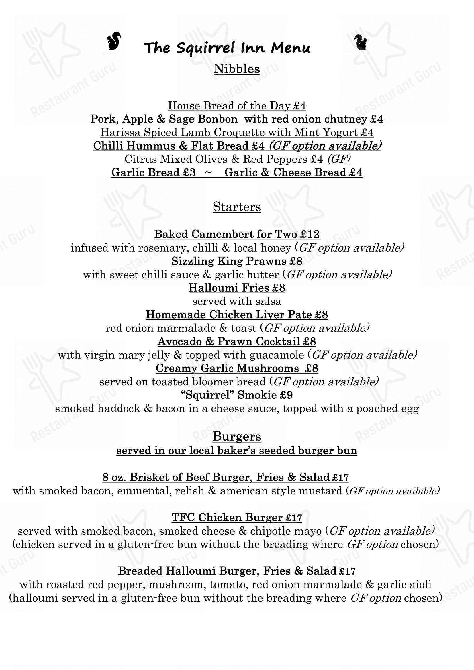 Menu at The Squirrel Inn pub & bar, Battle