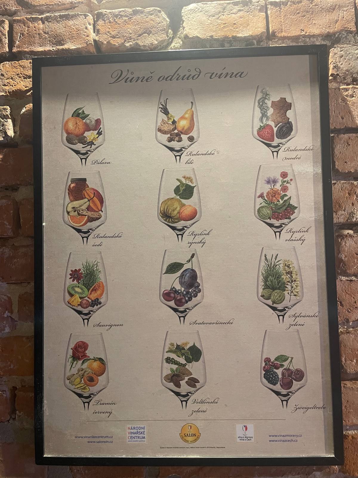 Menu at Wine Garage Zamoyskiego restaurant & wine bar, Kraków