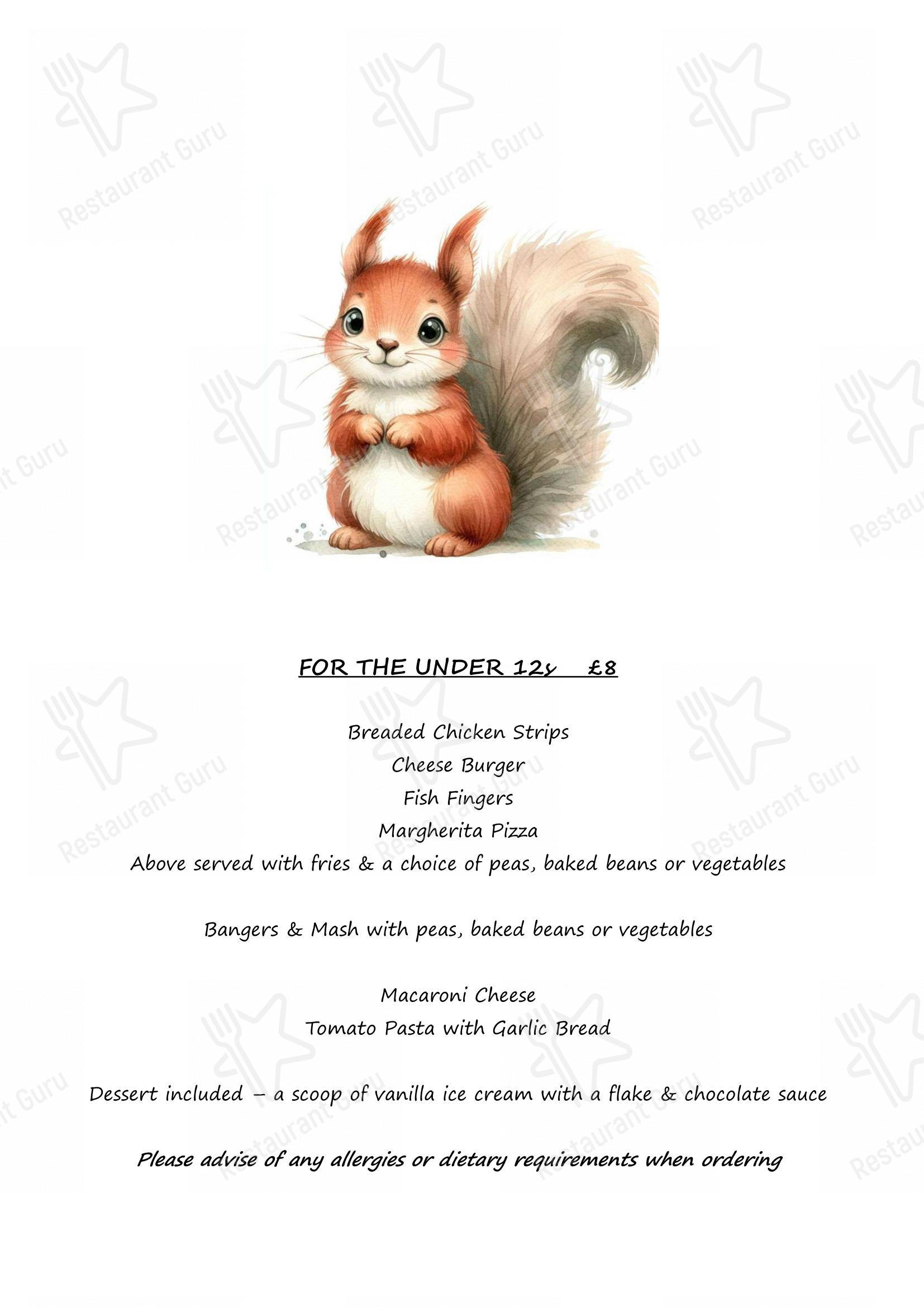 Menu at The Squirrel Inn pub & bar, Battle