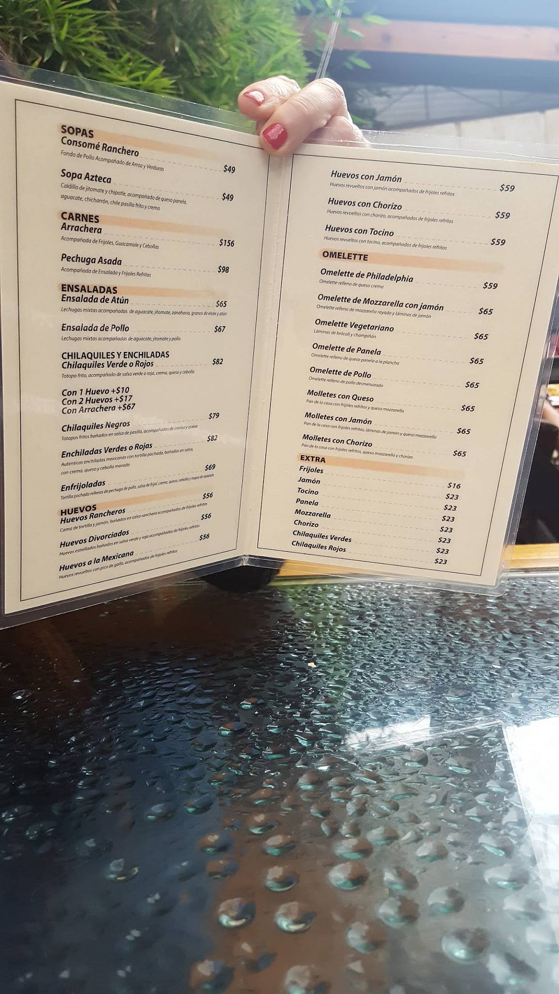 Carta del restaurante Daikoku, Ciudad del México, Londres 348