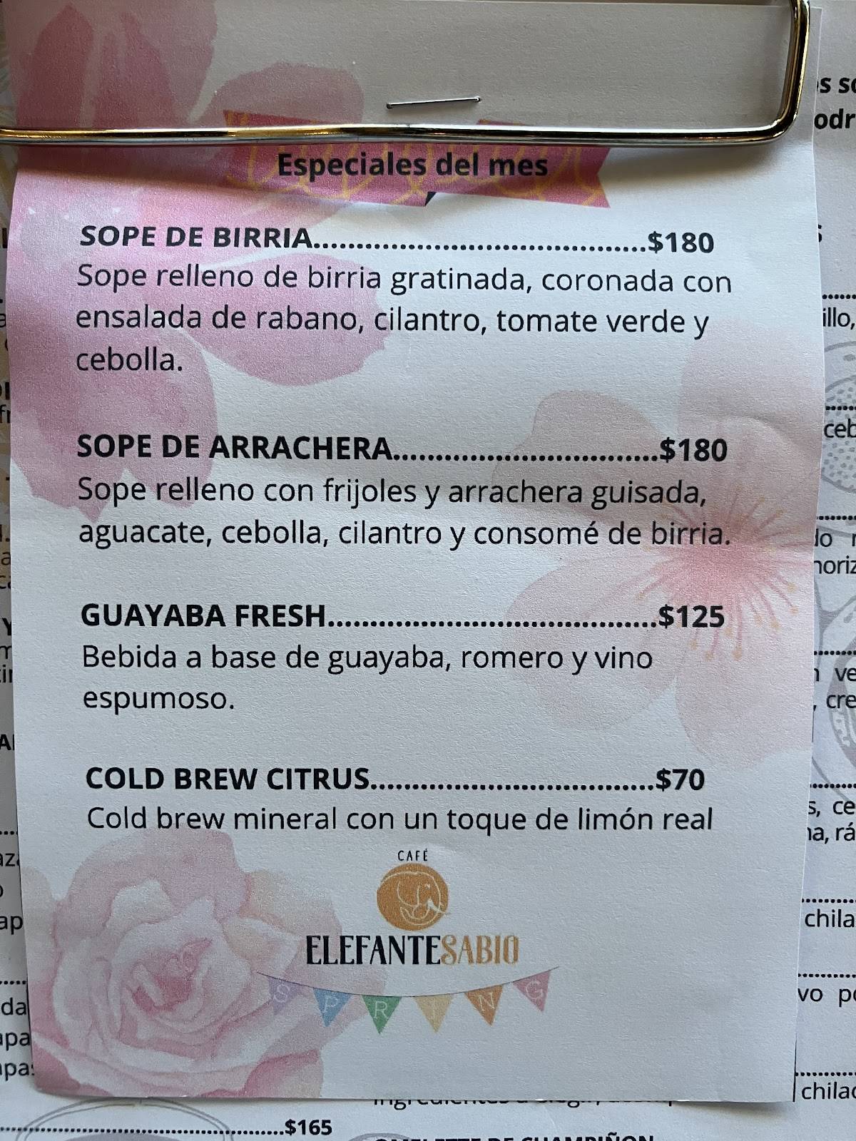 Menu at Elefante Sabio Café, Guadalajara