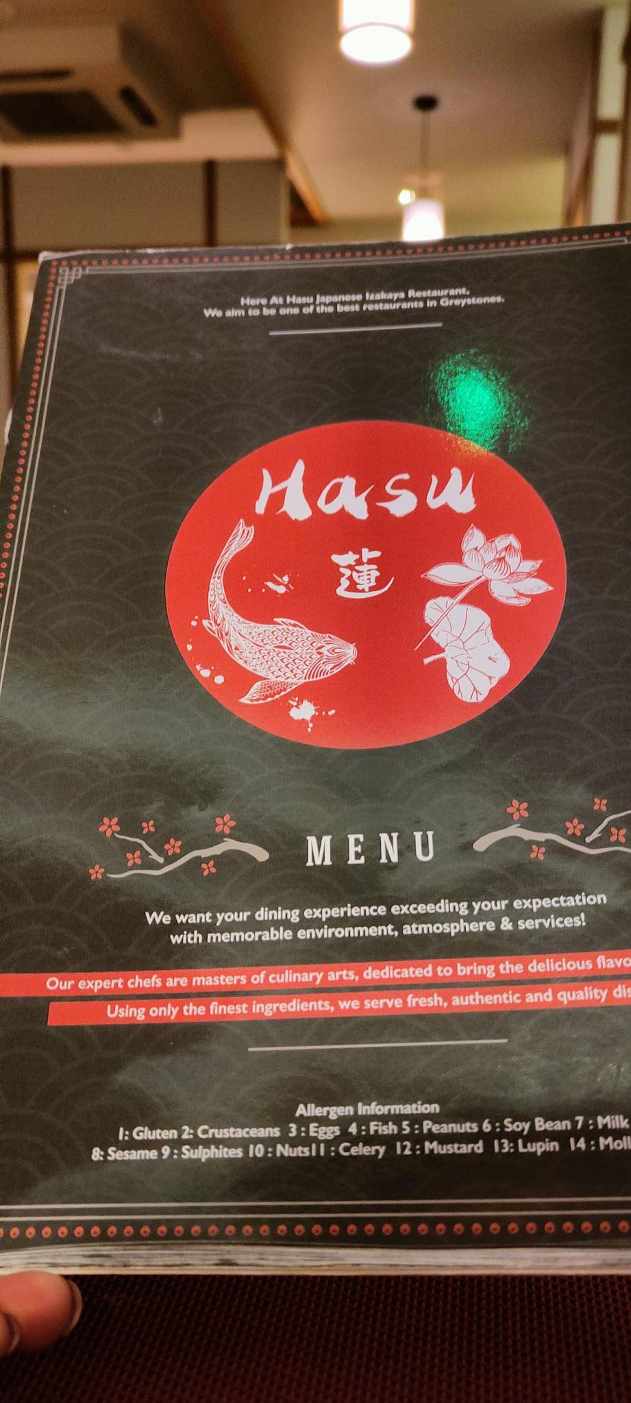 Menu at Hasu Izakaya Restaurant Greystones, Greystones