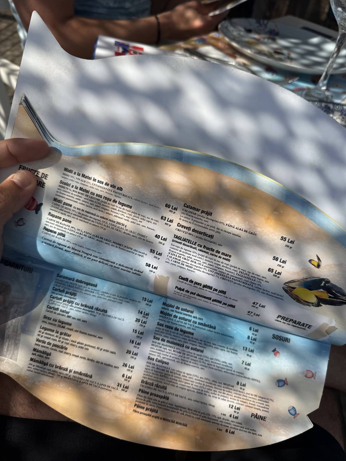 Menu at Pescăria lui Matei, Agigea, Strada Meduzei 4