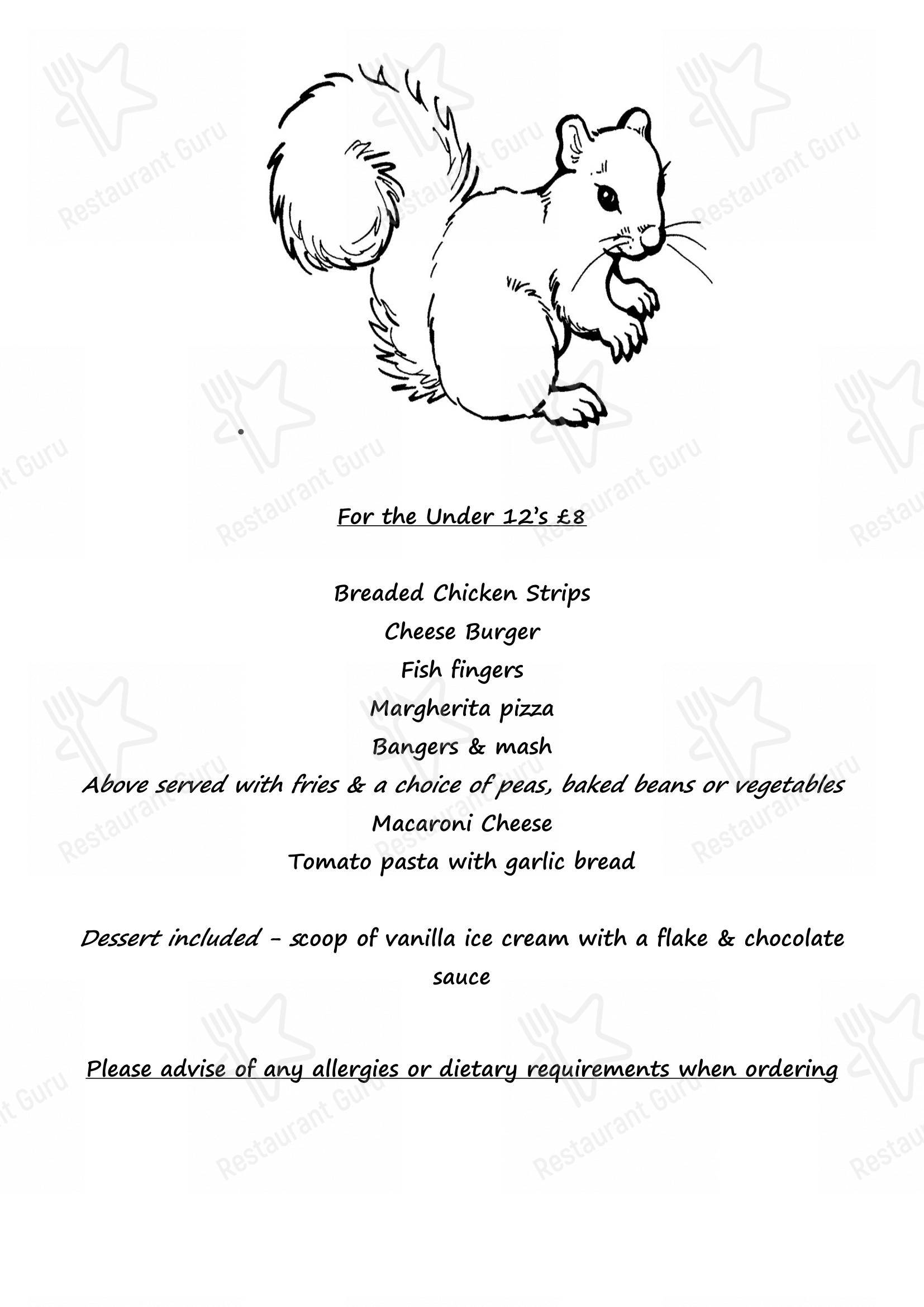 Menu at The Squirrel Inn pub & bar, Battle