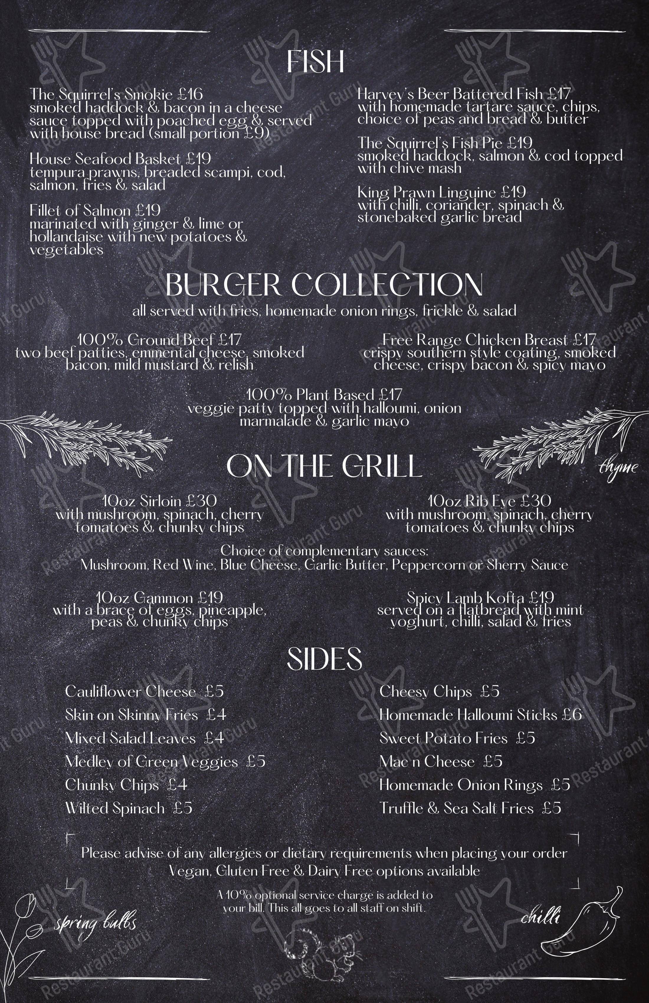 Menu at The Squirrel Inn pub & bar, Battle