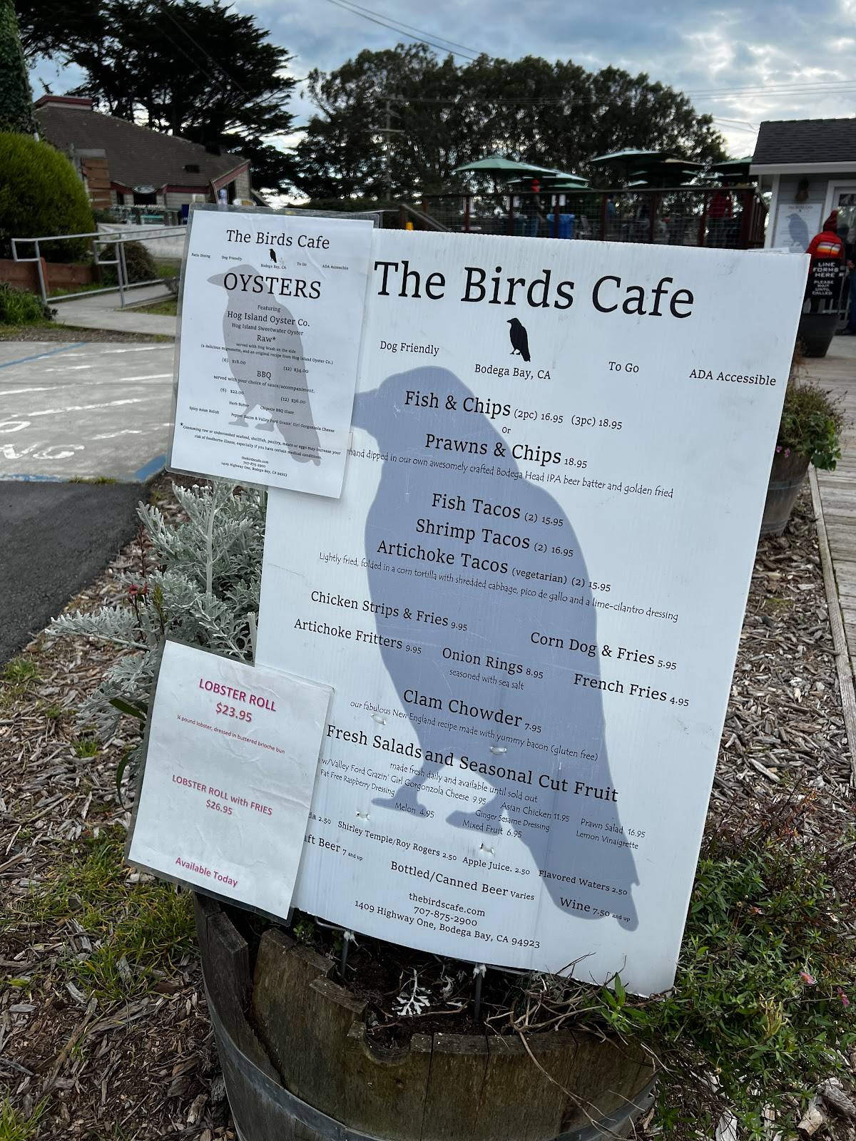 Menu at The Birds Cafe, Bodega Bay