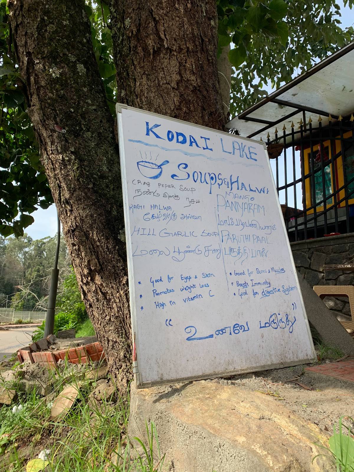 Menu at Kodai Undi, Kodaikanal