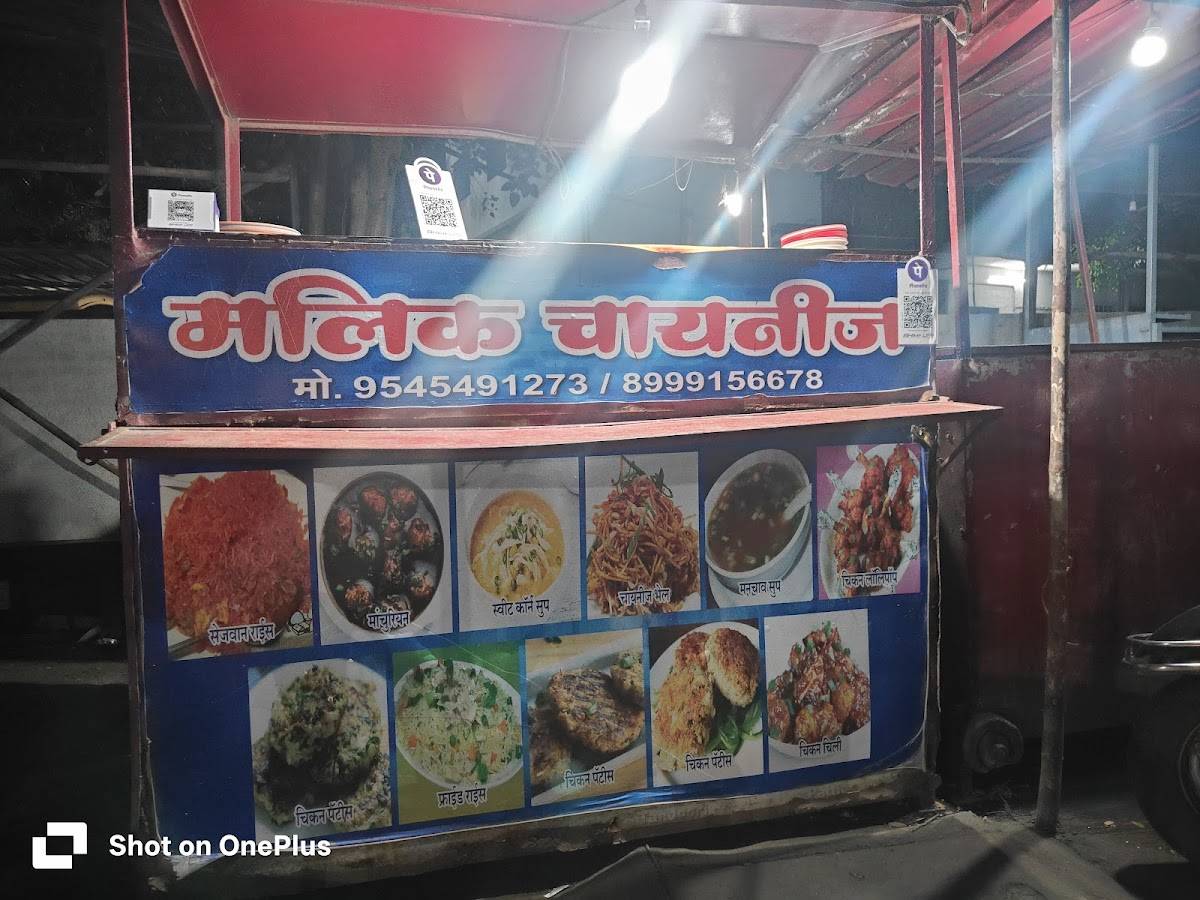 Menu at Malik Chinese 2, Mumbai