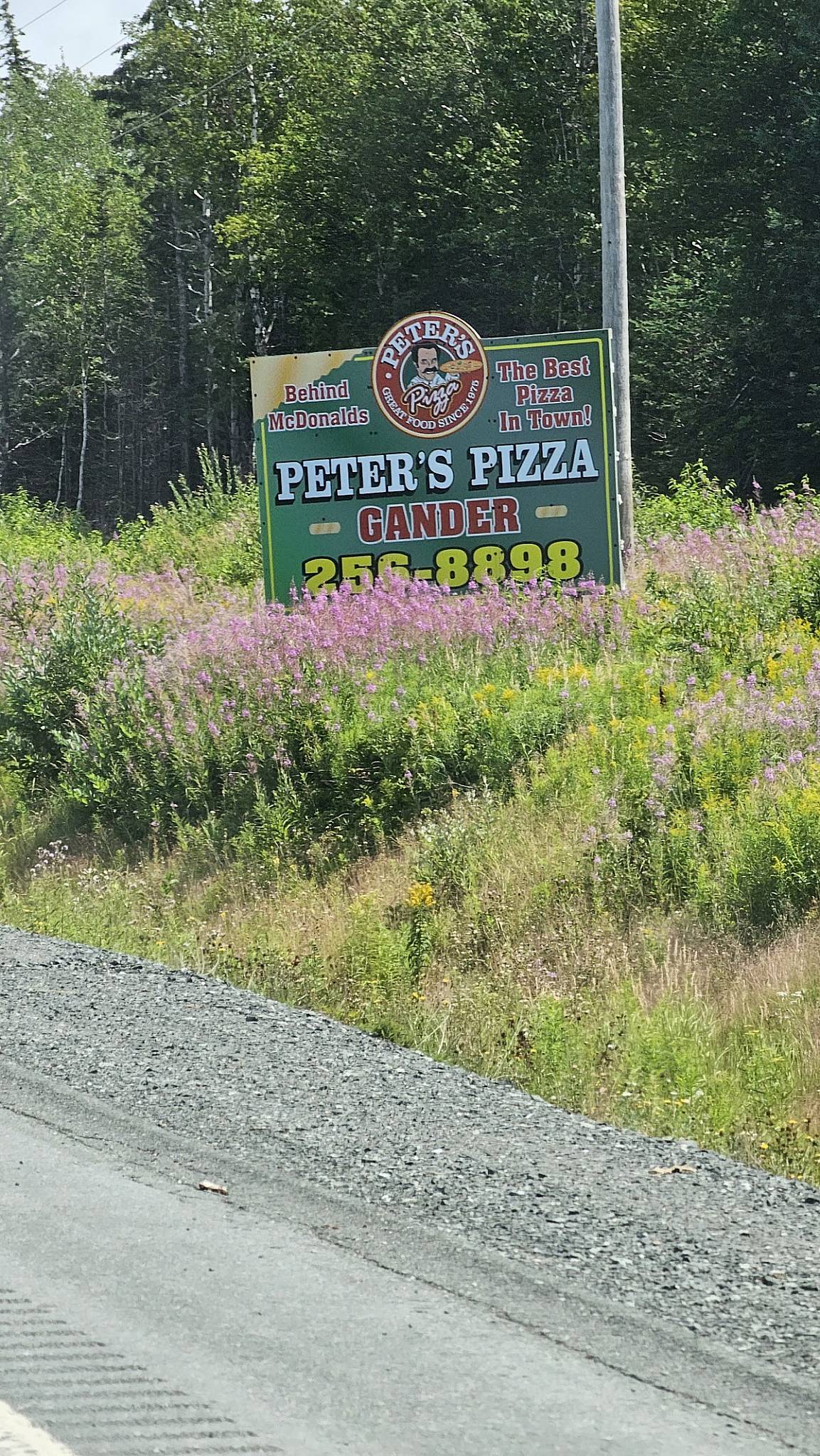 Menu at Peter's Pizza pizzeria, Gander