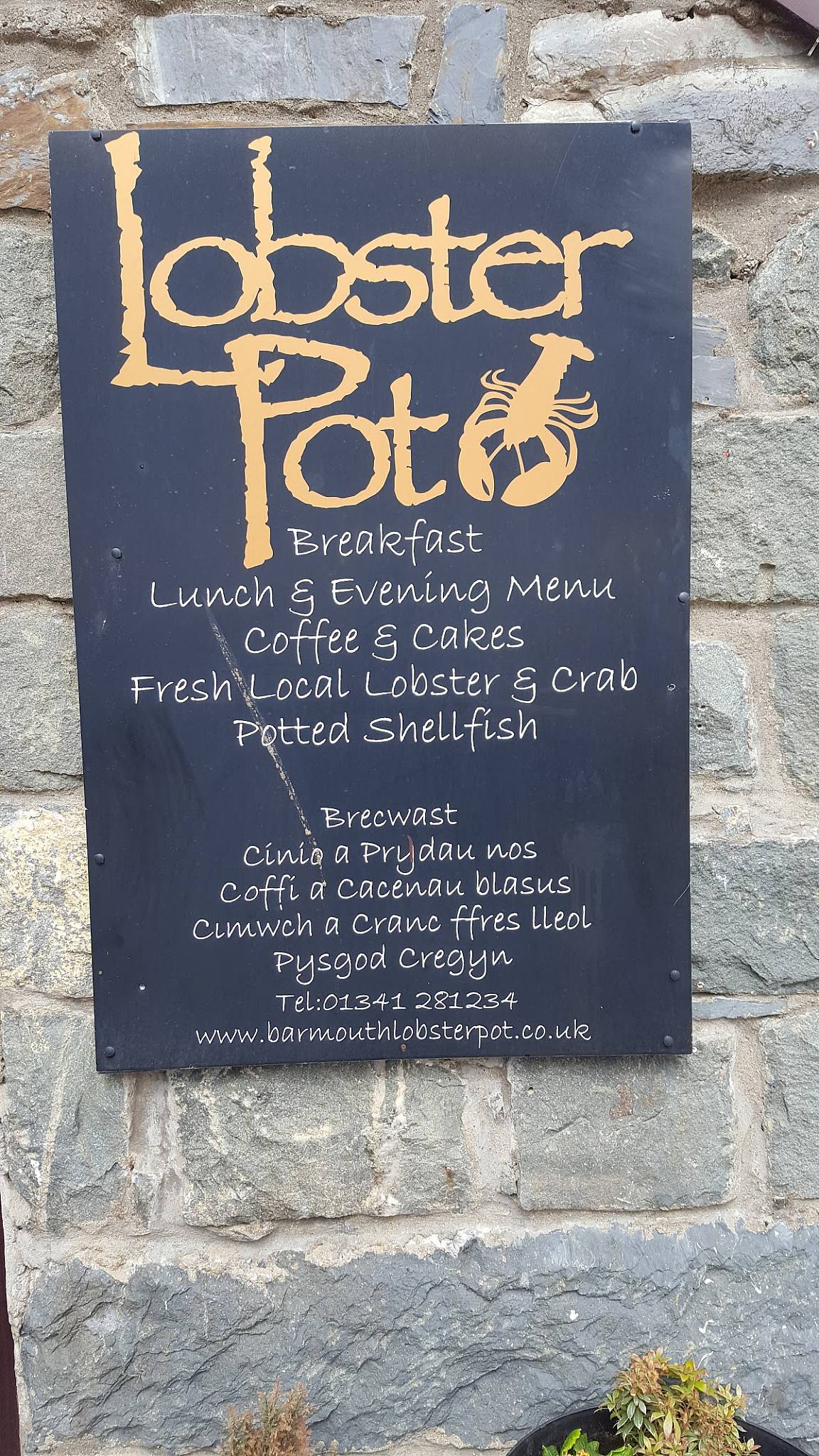 Menu at The Lobster Pot restaurant, Barmouth