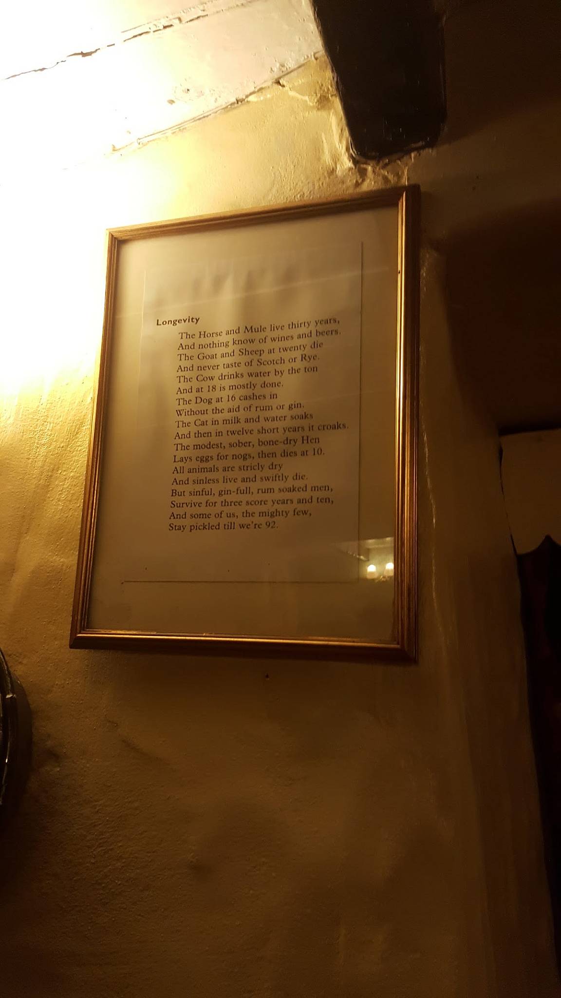 Menu at The Bucket of Blood pub & bar, Hayle