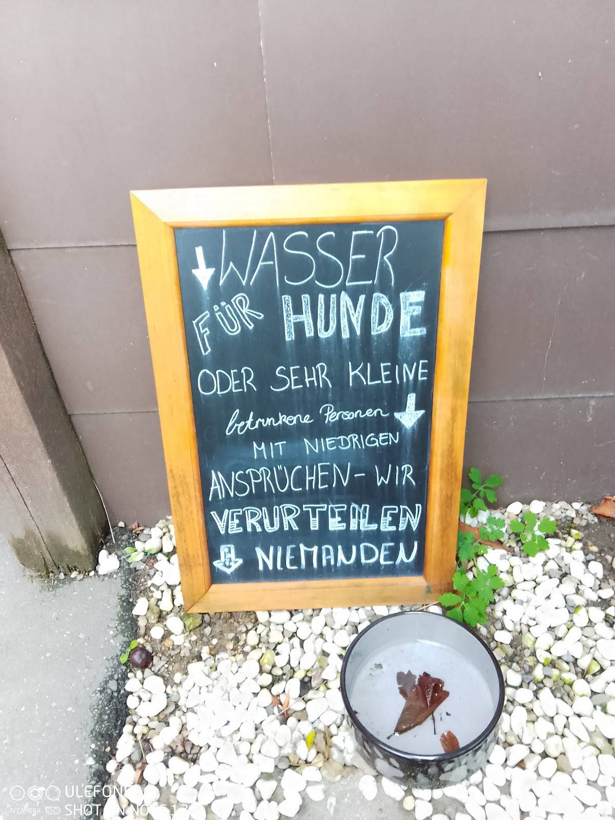 Speisekarte von Zum schwarzen Hahn restaurant, Hockenheim