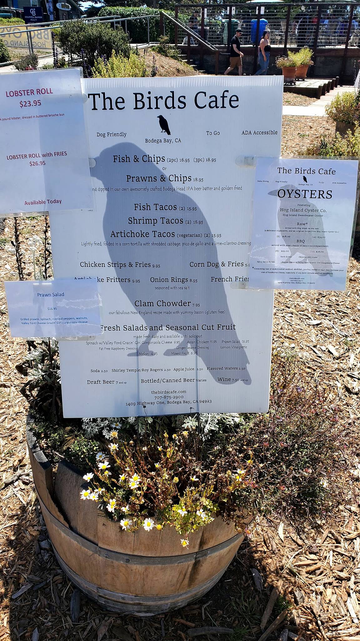 Menu at The Birds Cafe, Bodega Bay
