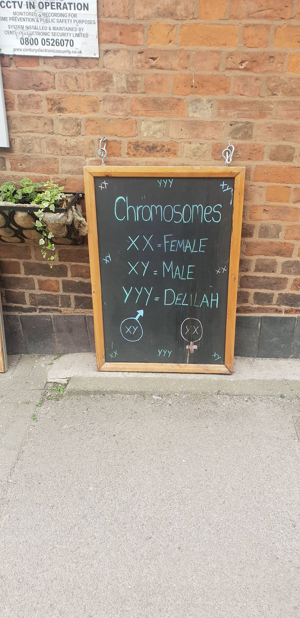 Menu at Lord Nelson Inn pub & bar, Earl Shilton