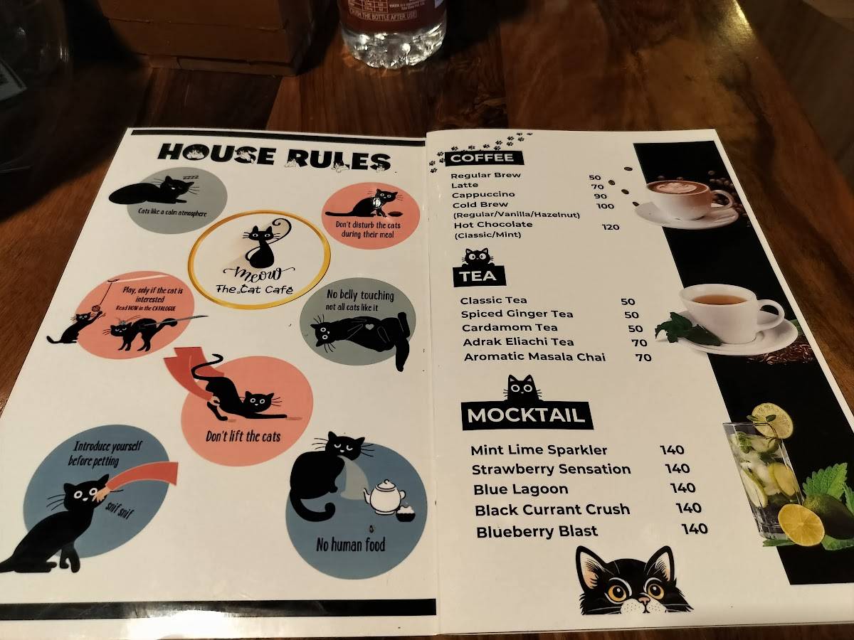 Menu at Meow the Cat Cafe, Raipur