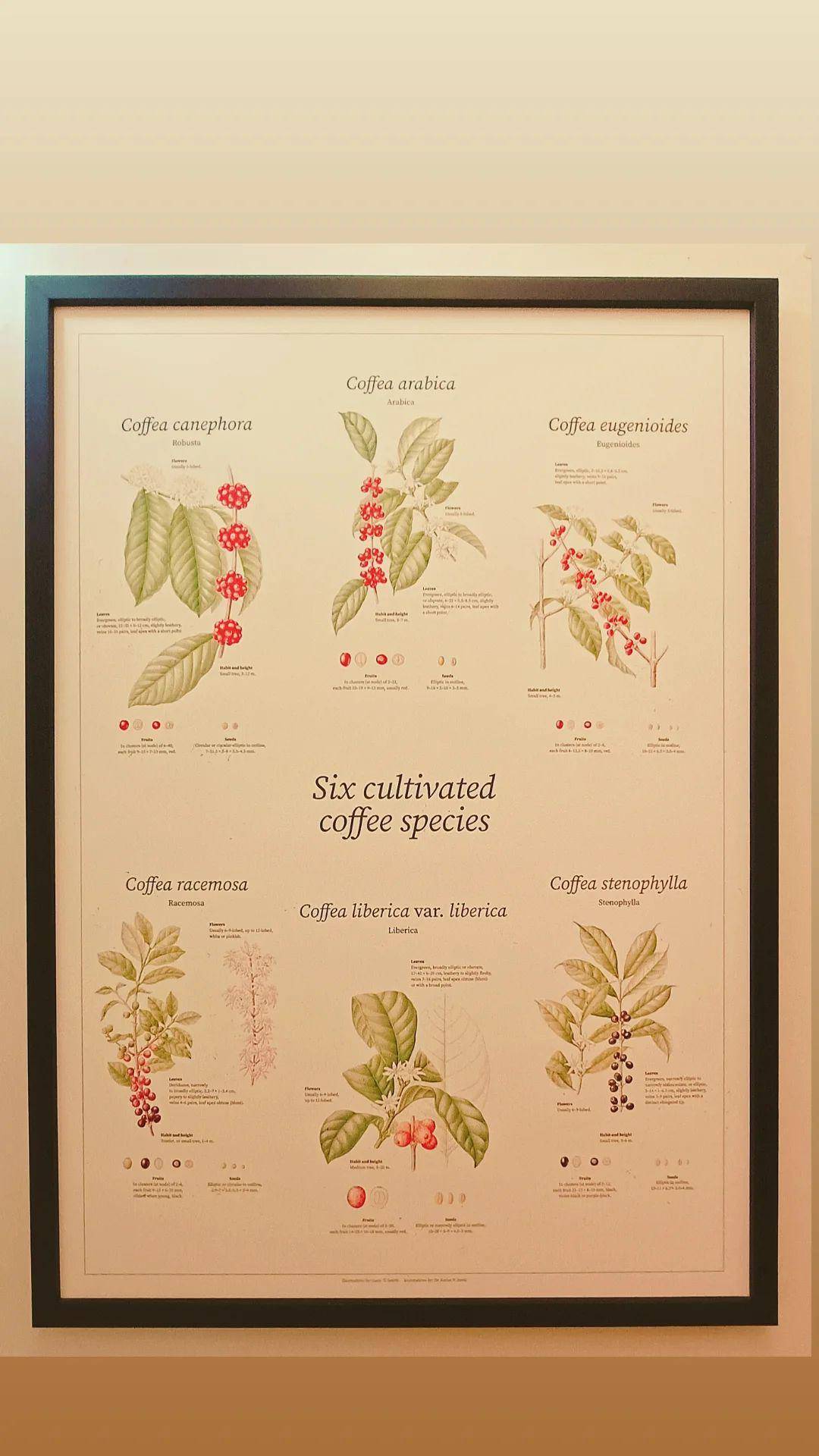 Menu em Porta do Café, Aveiro