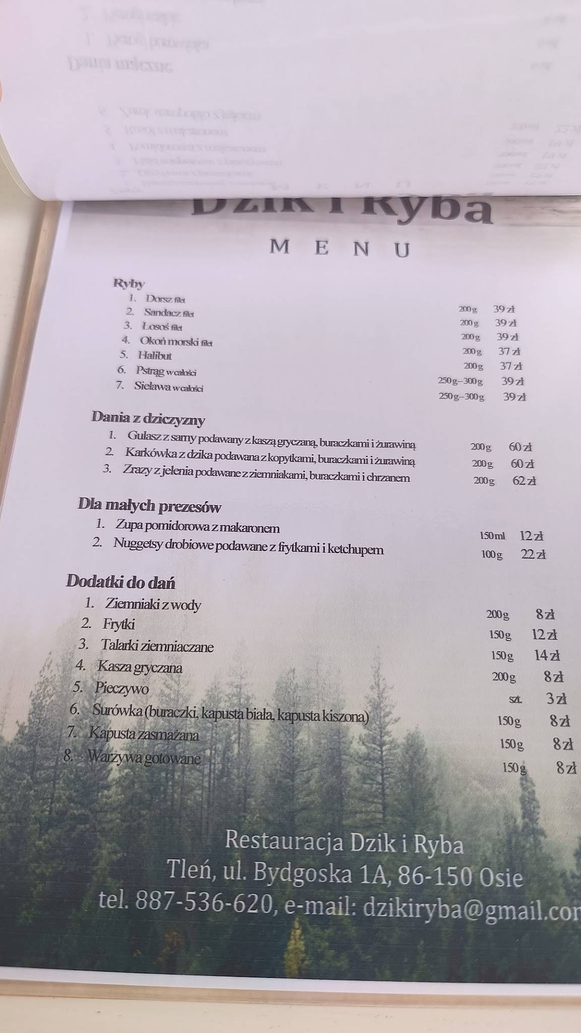 Menu at Restauracja DZIK I RYBA restaurant, Tleń