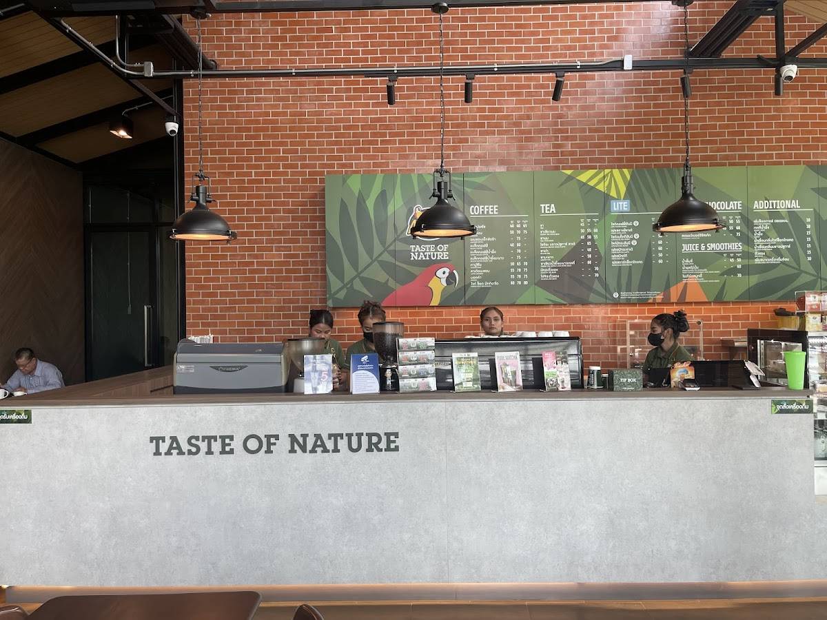 Carta de Café Amazon, Tha Chang