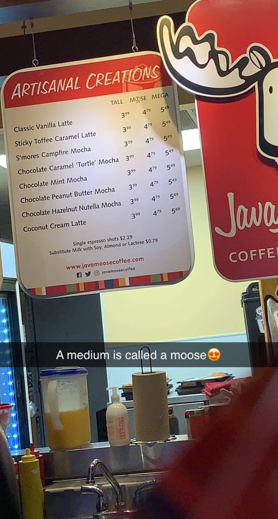 Menu at Java Moose cafe, Saint John, 84 Prince William St