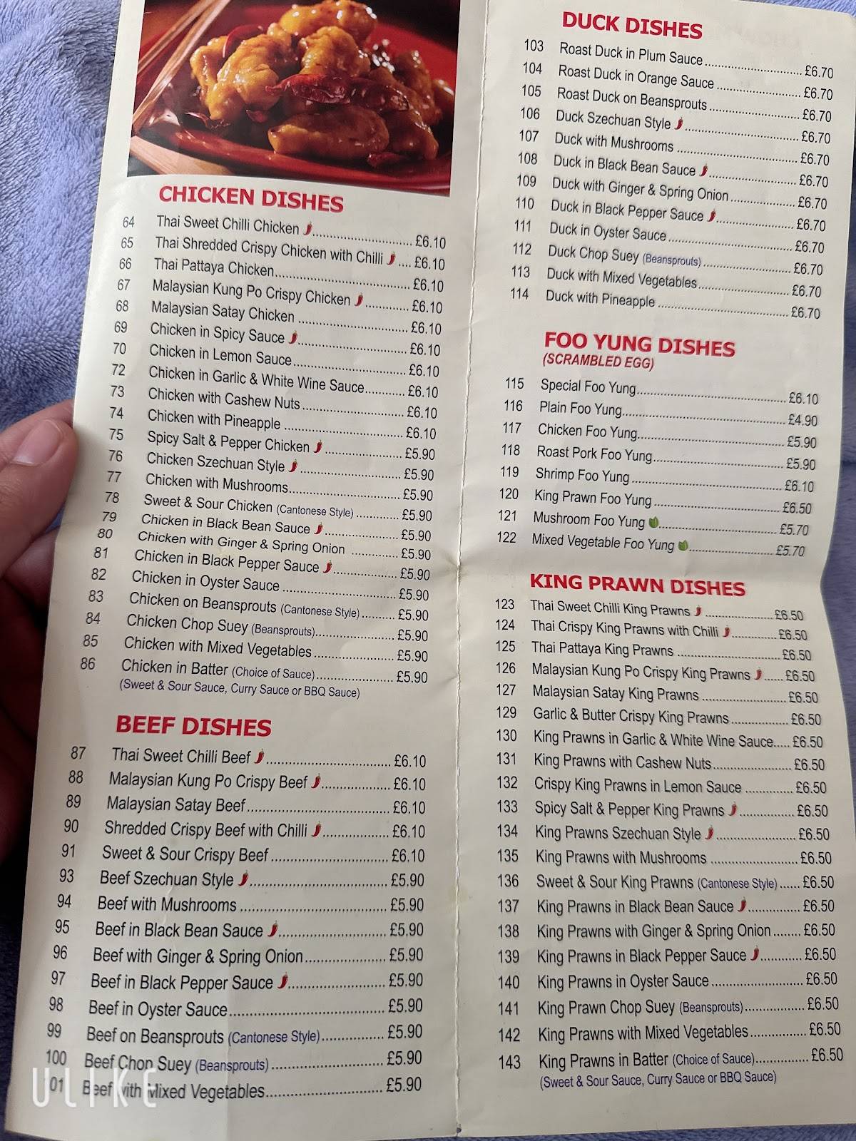 Menu at New Red Lantern restaurant, Caldicot