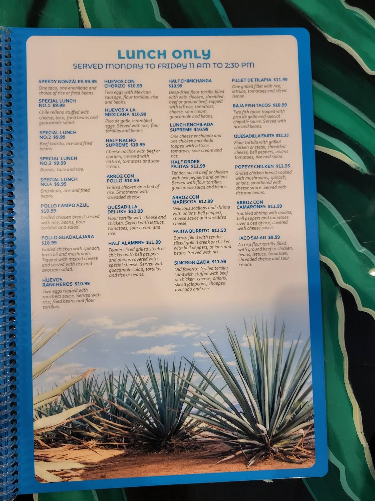Menu at Campo Azul Mexican Kitchen restaurant, Summerfield