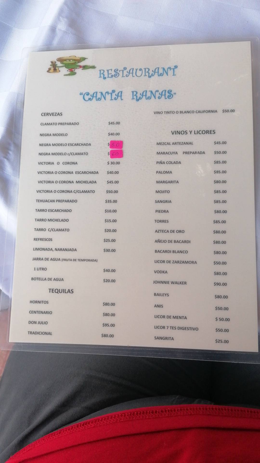 Menu at Restaurant, Canta Ranas., Mexico