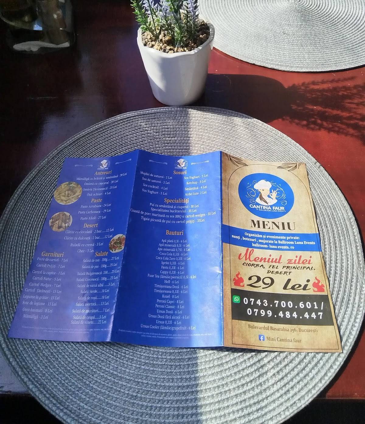 Menu at Cantina Faur, Bucharest, Bulevardul Basarabia 256