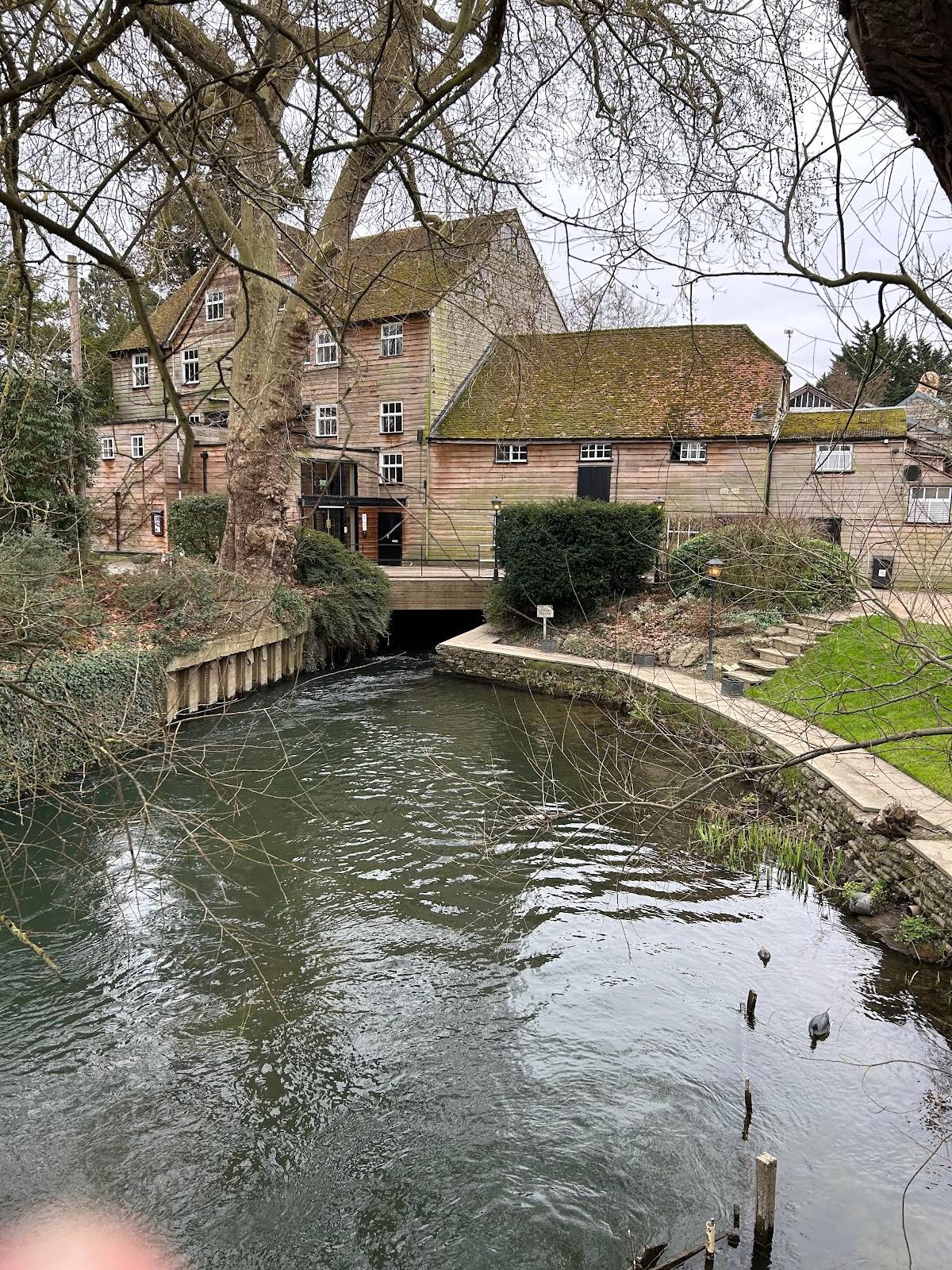 Menu at The Mill at Sonning restaurant, Reading, Sonning Eye