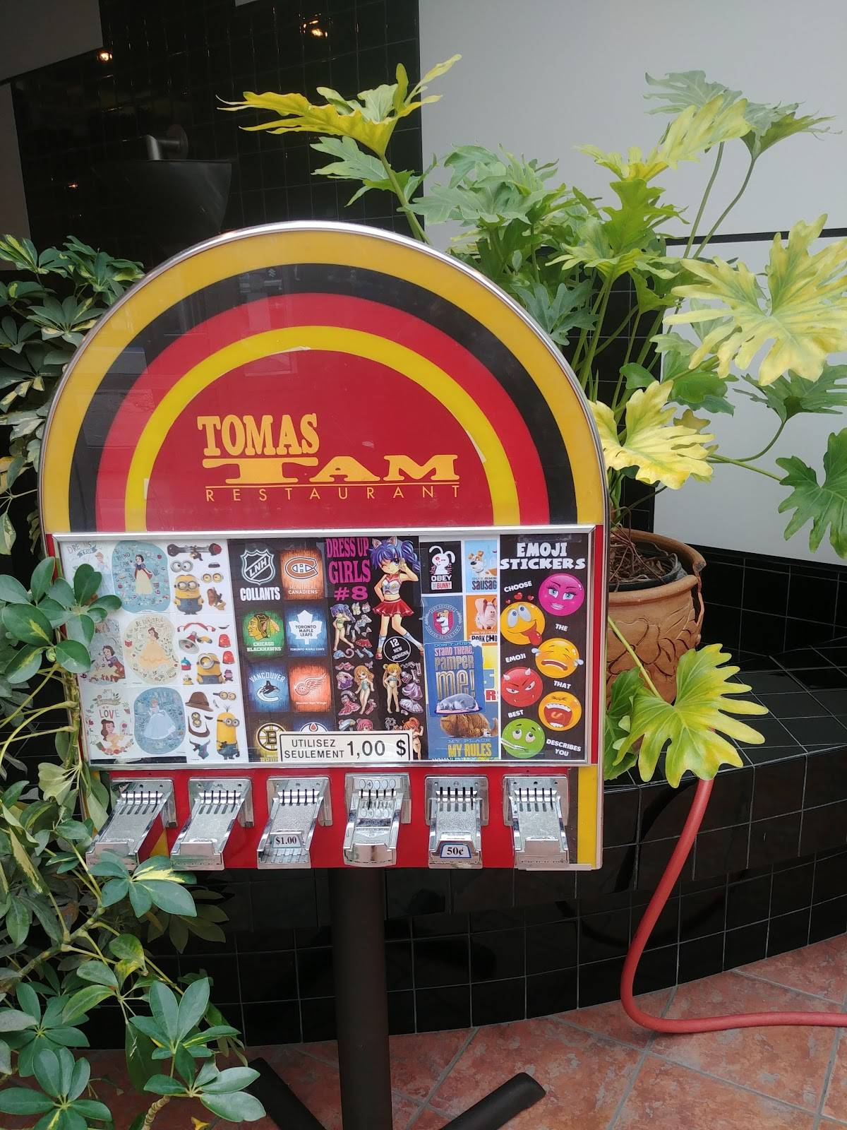 Menu au Restaurant Tomas Tam Inc, Québec, Wilfrid-Hamel Blvd