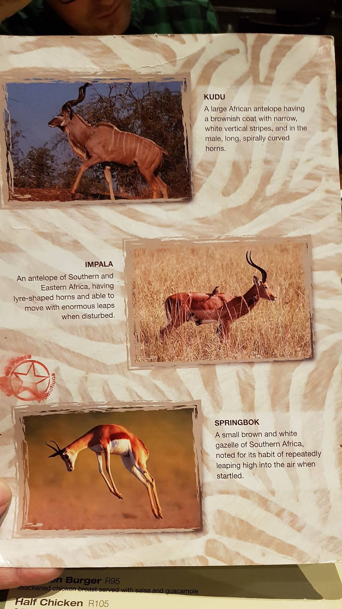 Menu at Tribes African Grill & Steakhouse, Boksburg