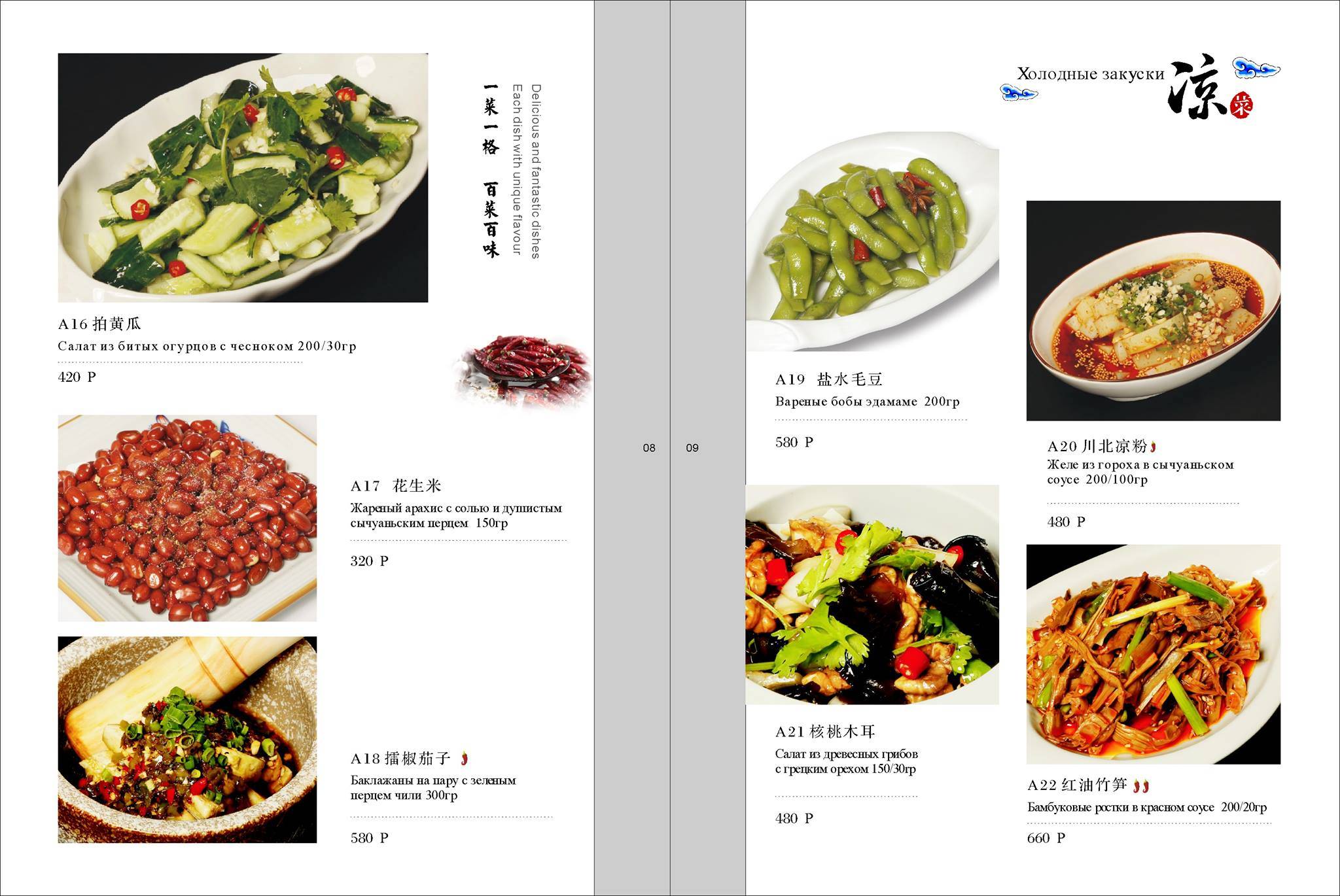 Menu at Traditional Sichuan Cuisne restaurant, Moscow