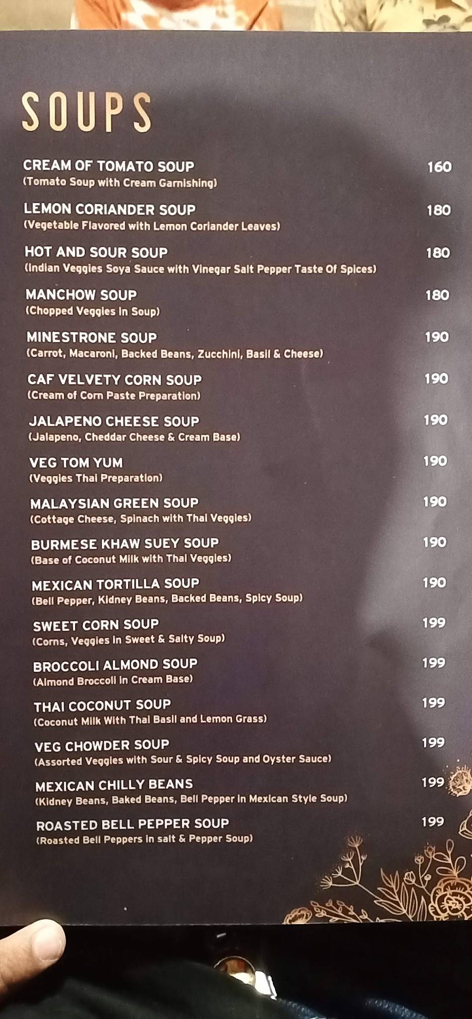 Menu at AANGAN GARDEN RESTAURANT, Ahmedabad