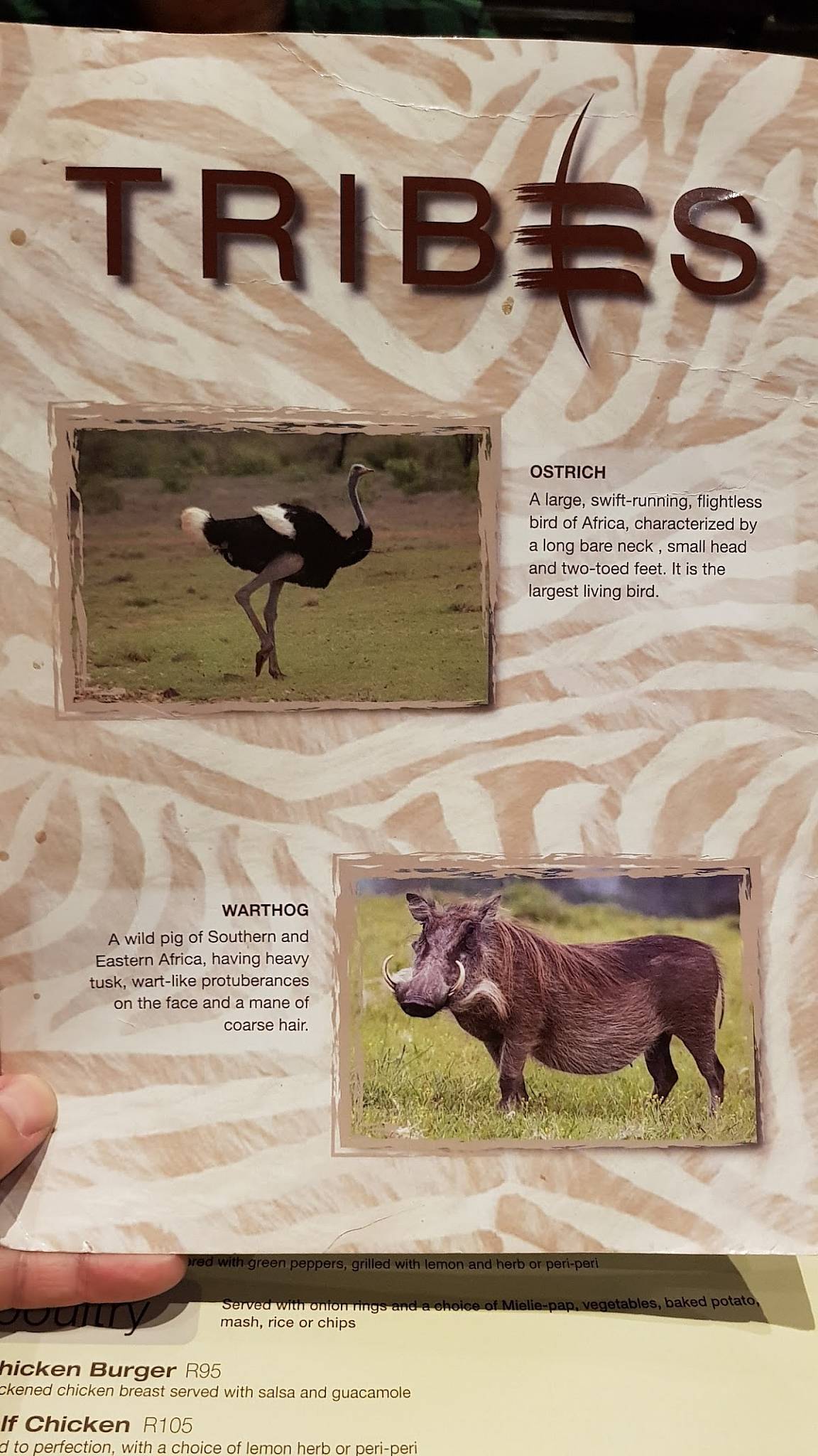 Menu at Tribes African Grill & Steakhouse, Boksburg