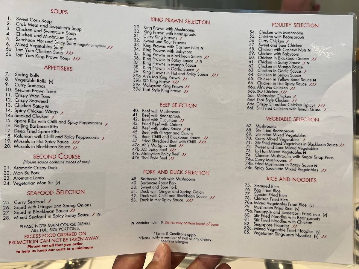 Menu at Golden Dragon restaurant, Andover