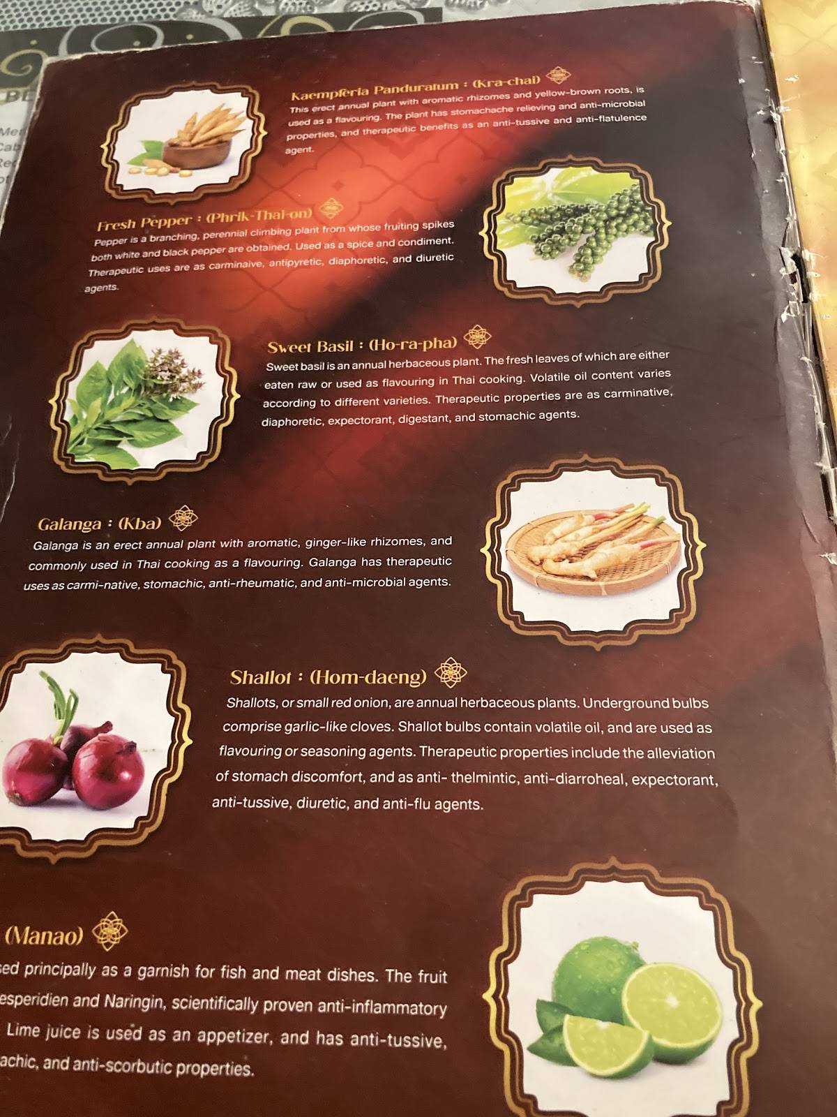 Menu at Thai House restaurant, Sebring