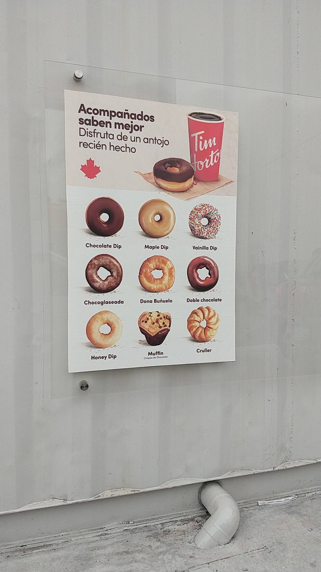 Carta del café Tim Hortons Miguel del la Madrid, Guadalupe, Autop ...