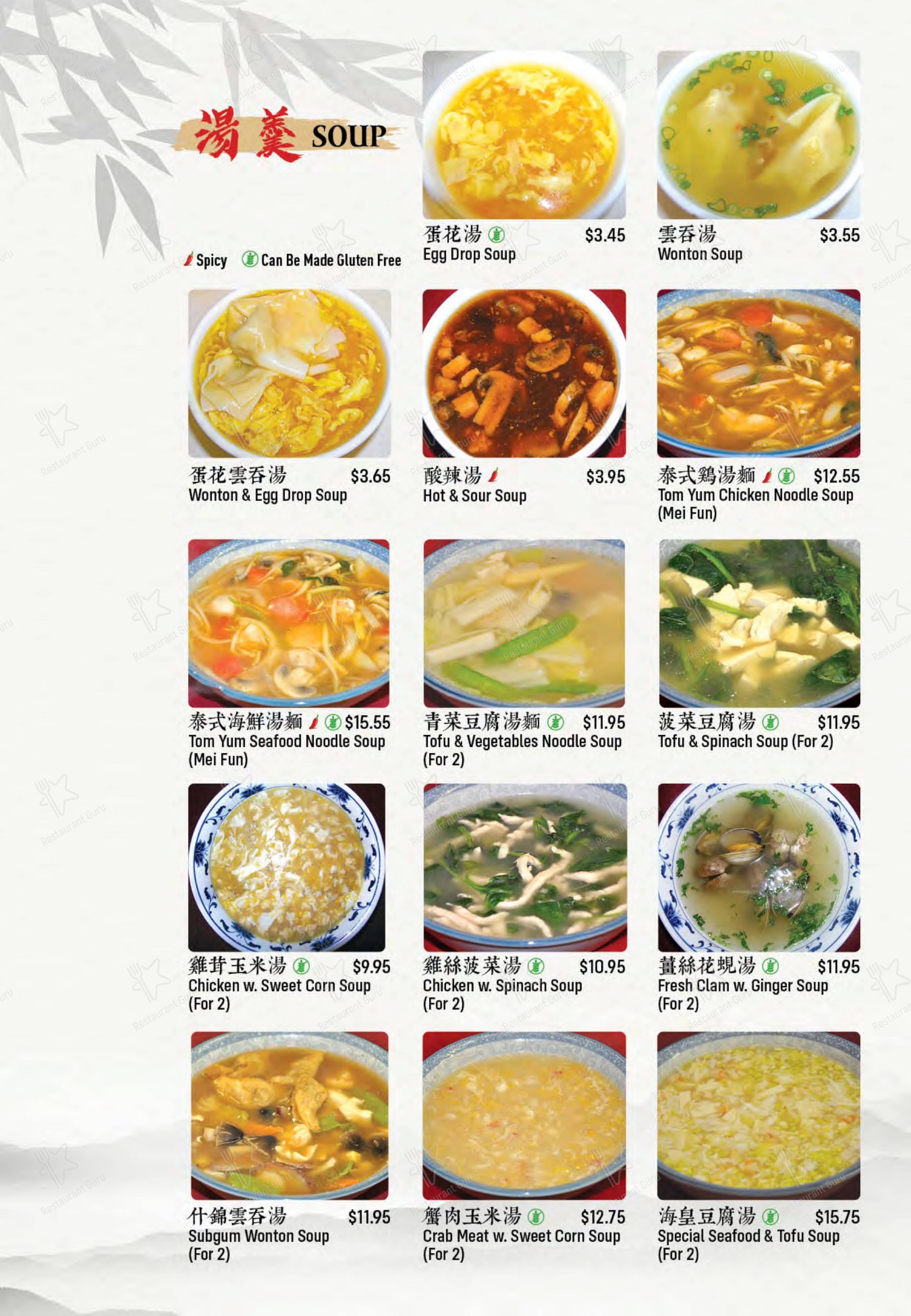 Menu at Chen Garden restaurant, Rochester, Monroe Ave #1843