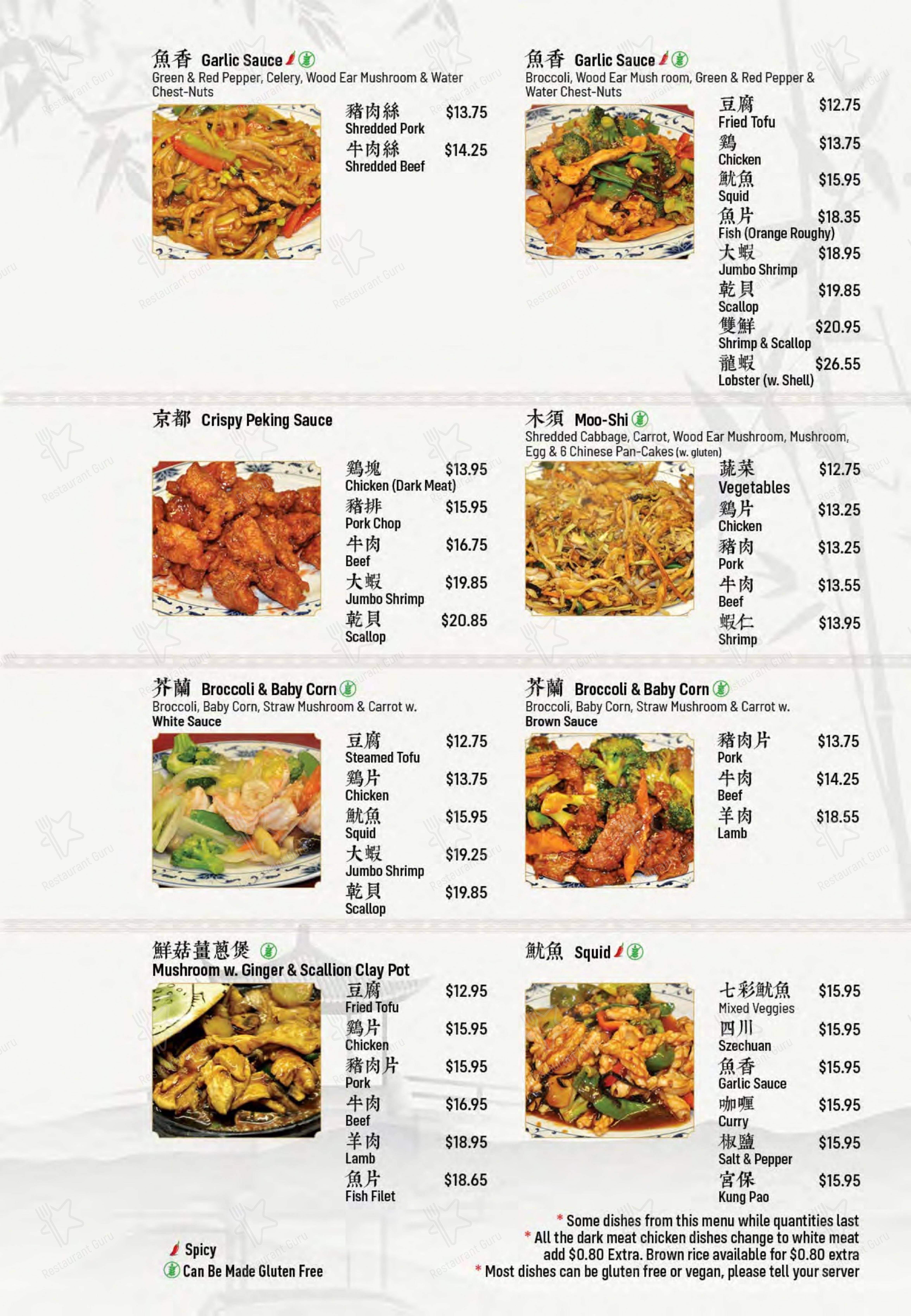 Menu at Chen Garden restaurant, Rochester, Monroe Ave #1843