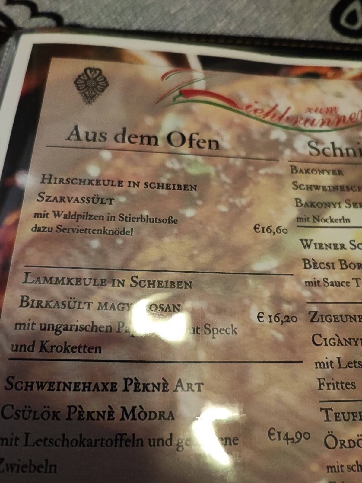 Speisekarte von Balaton Express Zum Ziehbrunnen Berlin restaurant, Berlin