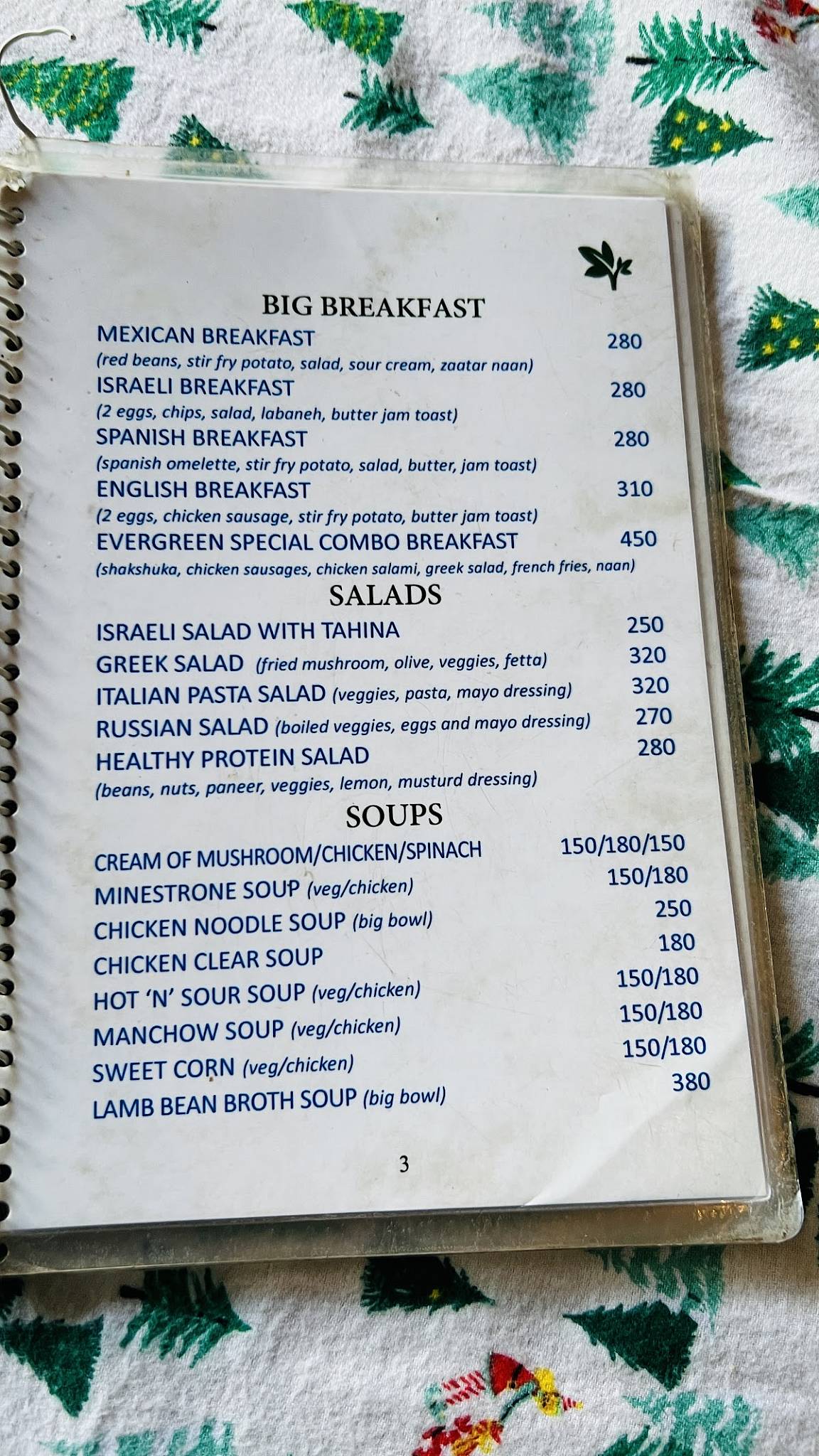 Menu at The Evergreen, Kasol