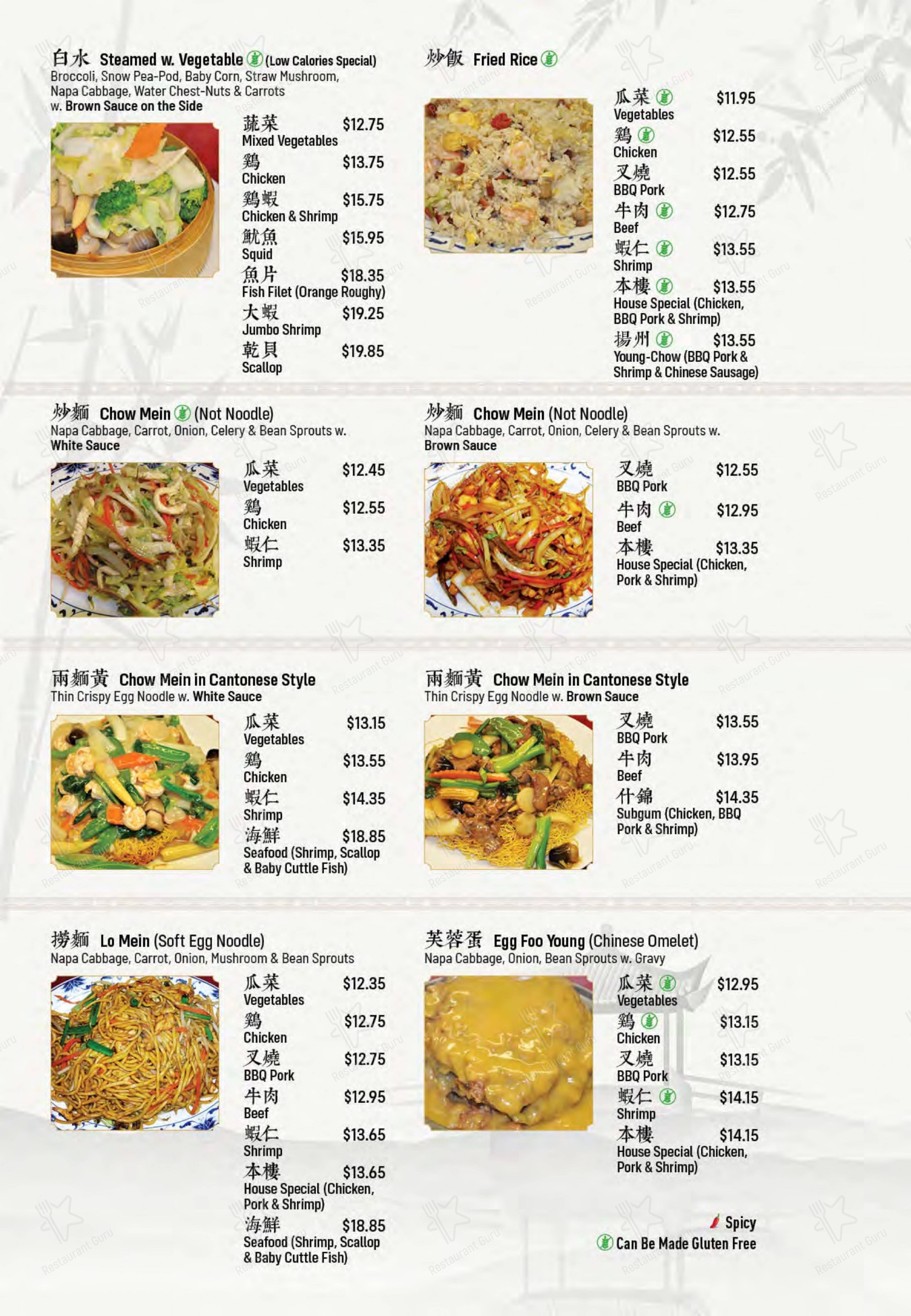 Menu at Chen Garden restaurant, Rochester, Monroe Ave #1843