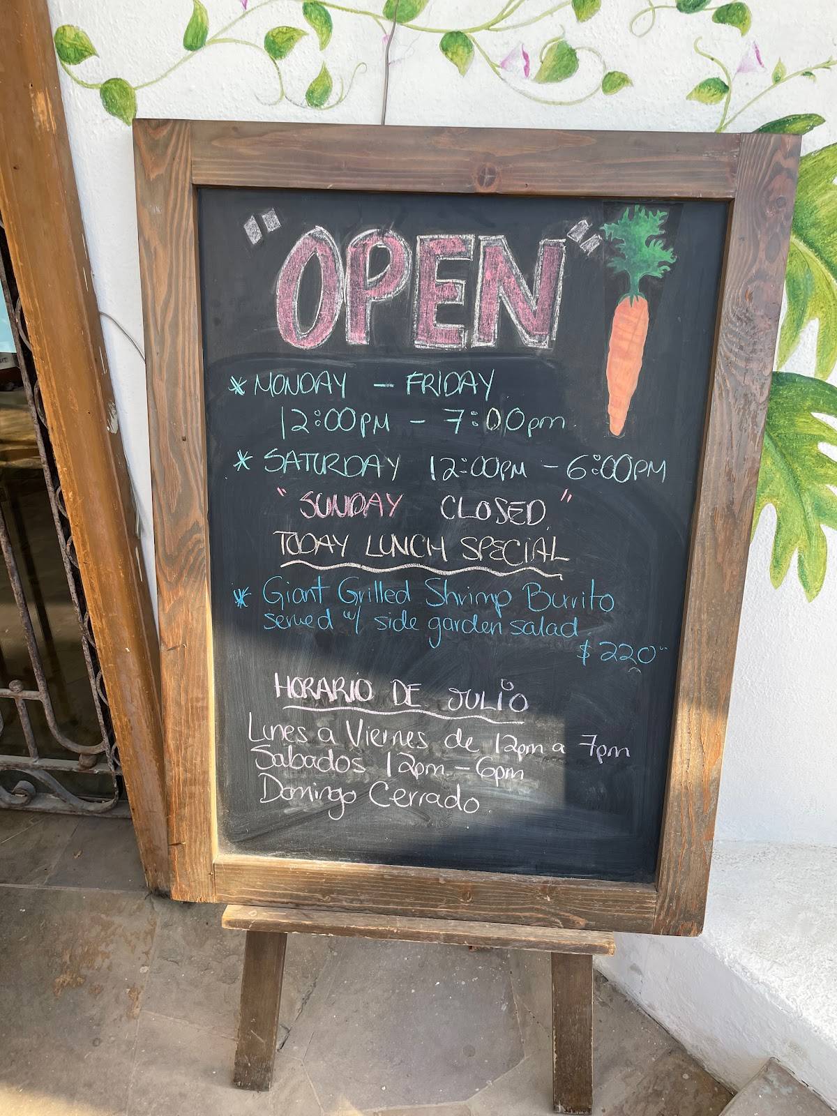 Menu at Cynthia Fresh restaurant, San José del Cabo