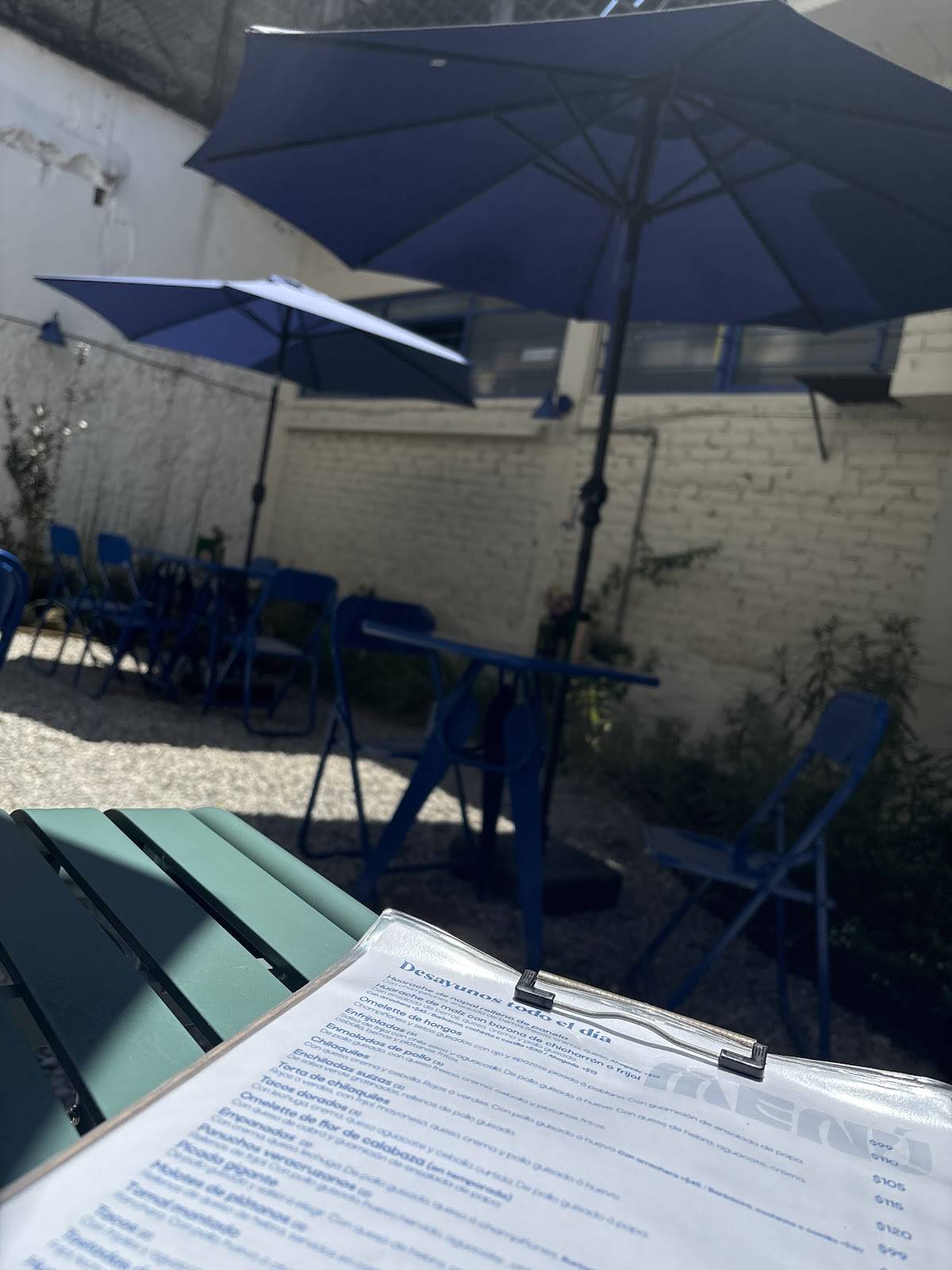 Carta de Fauna Café • Jardín, Xalapa Enríquez