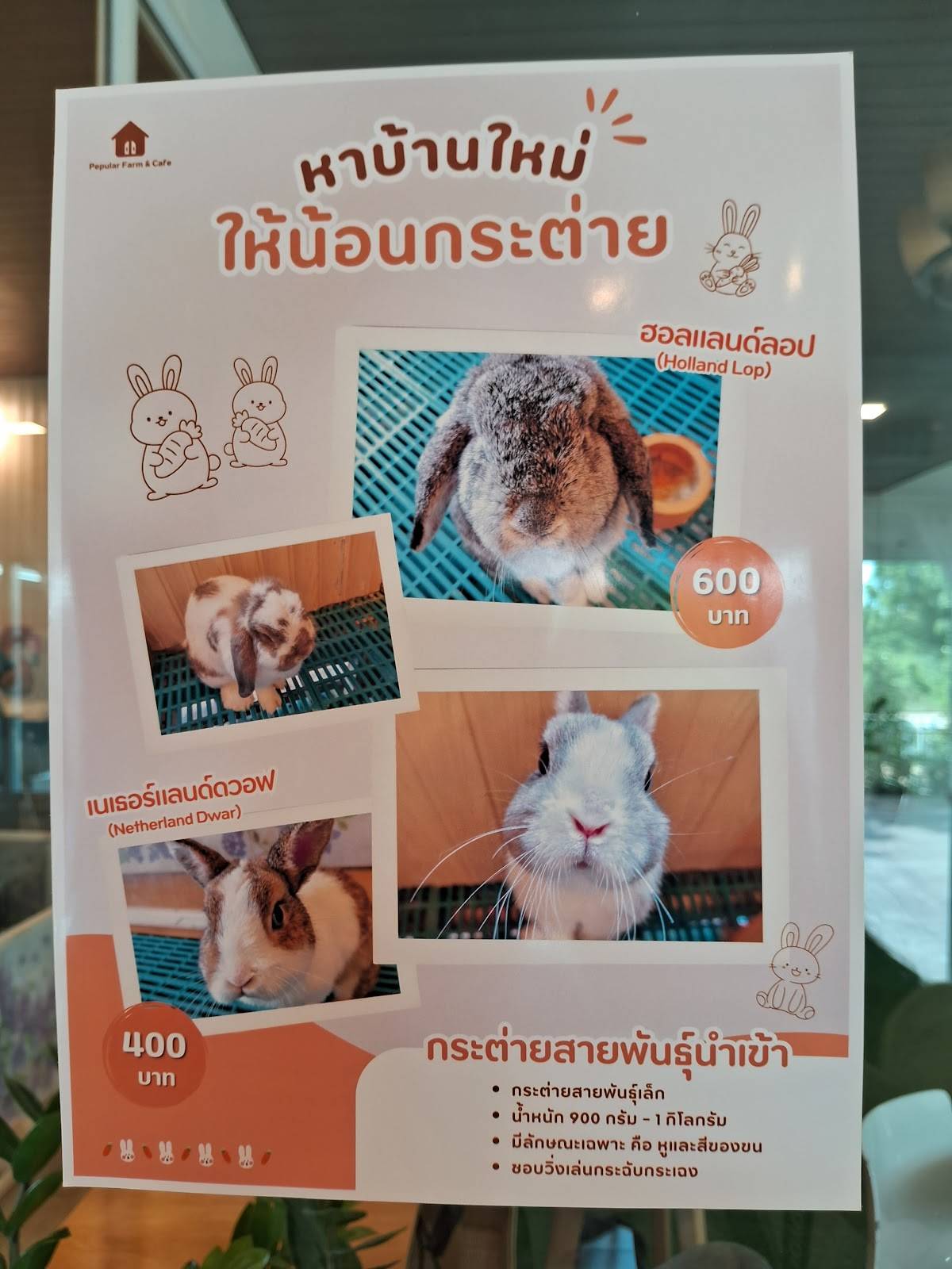 Menu at Pavara Prosperity Sales Office restaurant, Khon Kaen