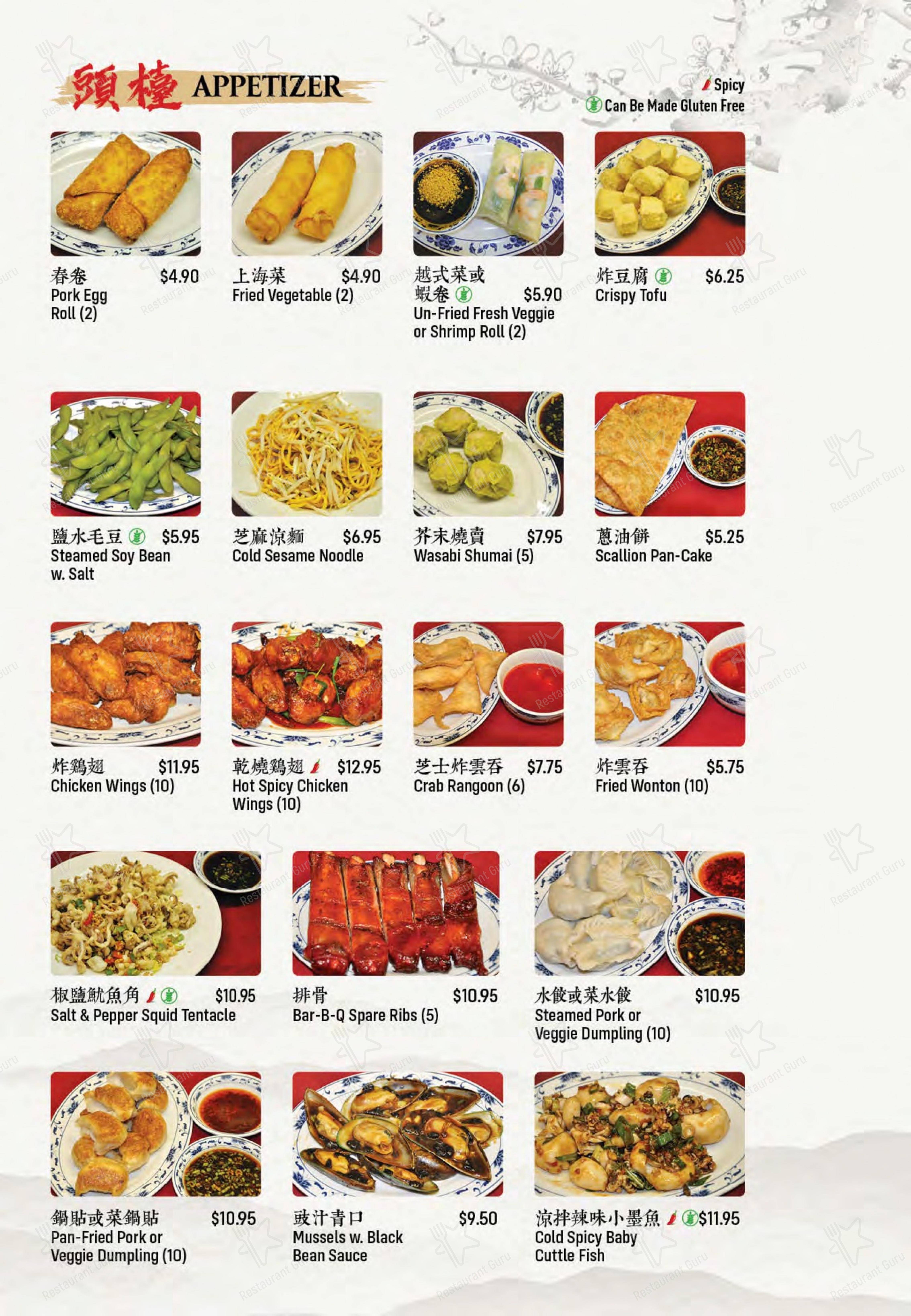 Menu at Chen Garden restaurant, Rochester, Monroe Ave #1843
