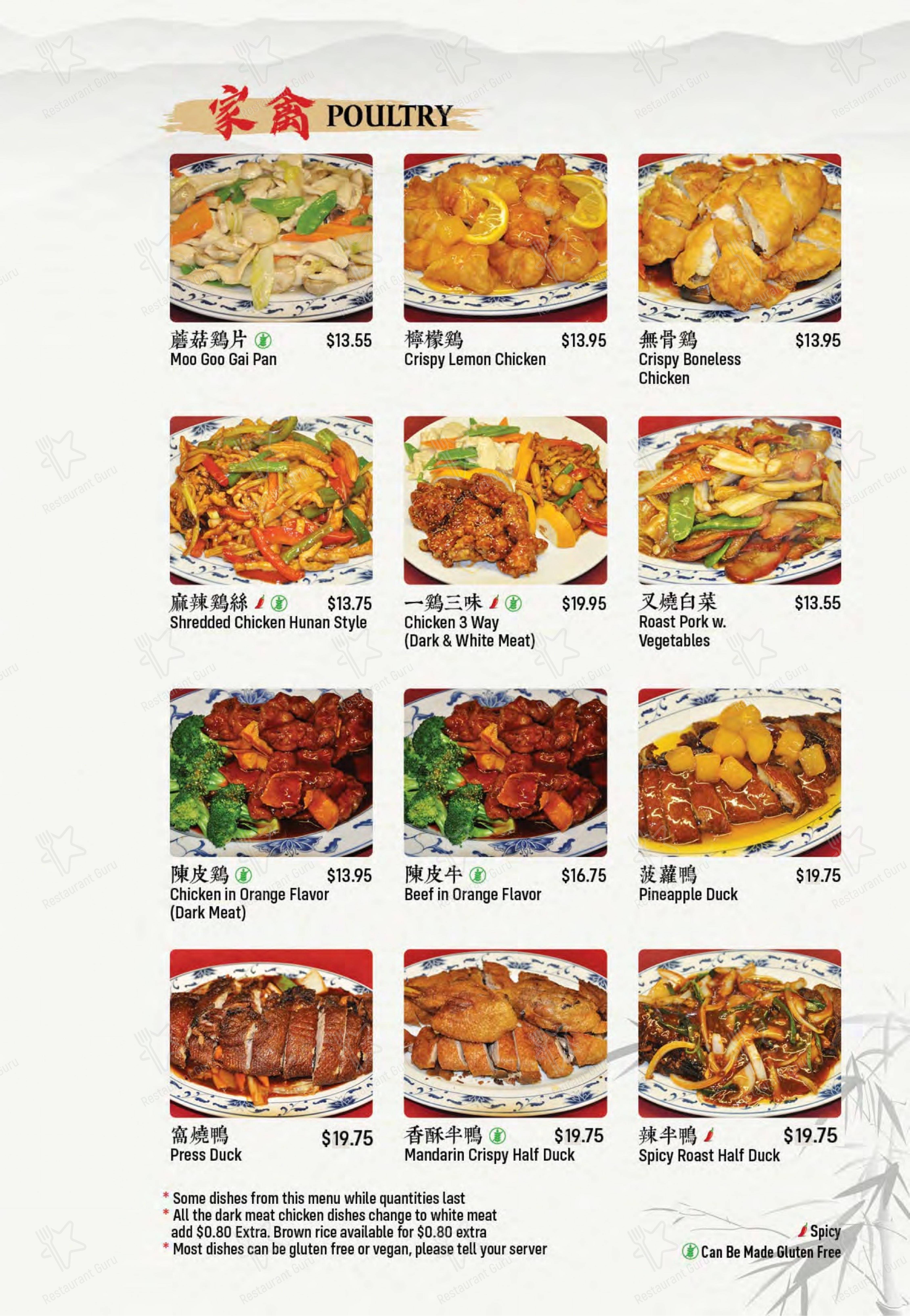 Menu at Chen Garden restaurant, Rochester, Monroe Ave #1843