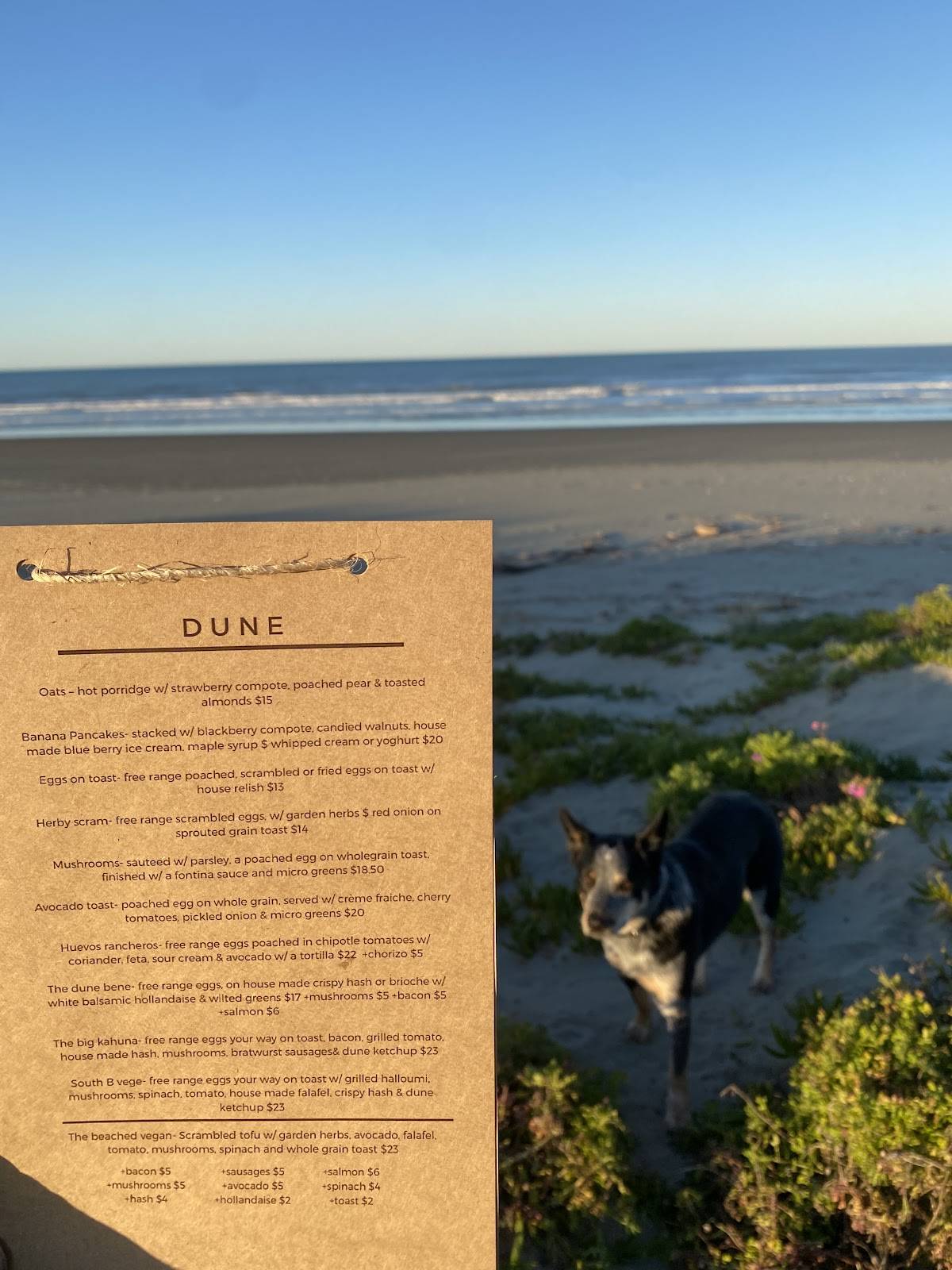 Menu at Dune Cafe, Christchurch