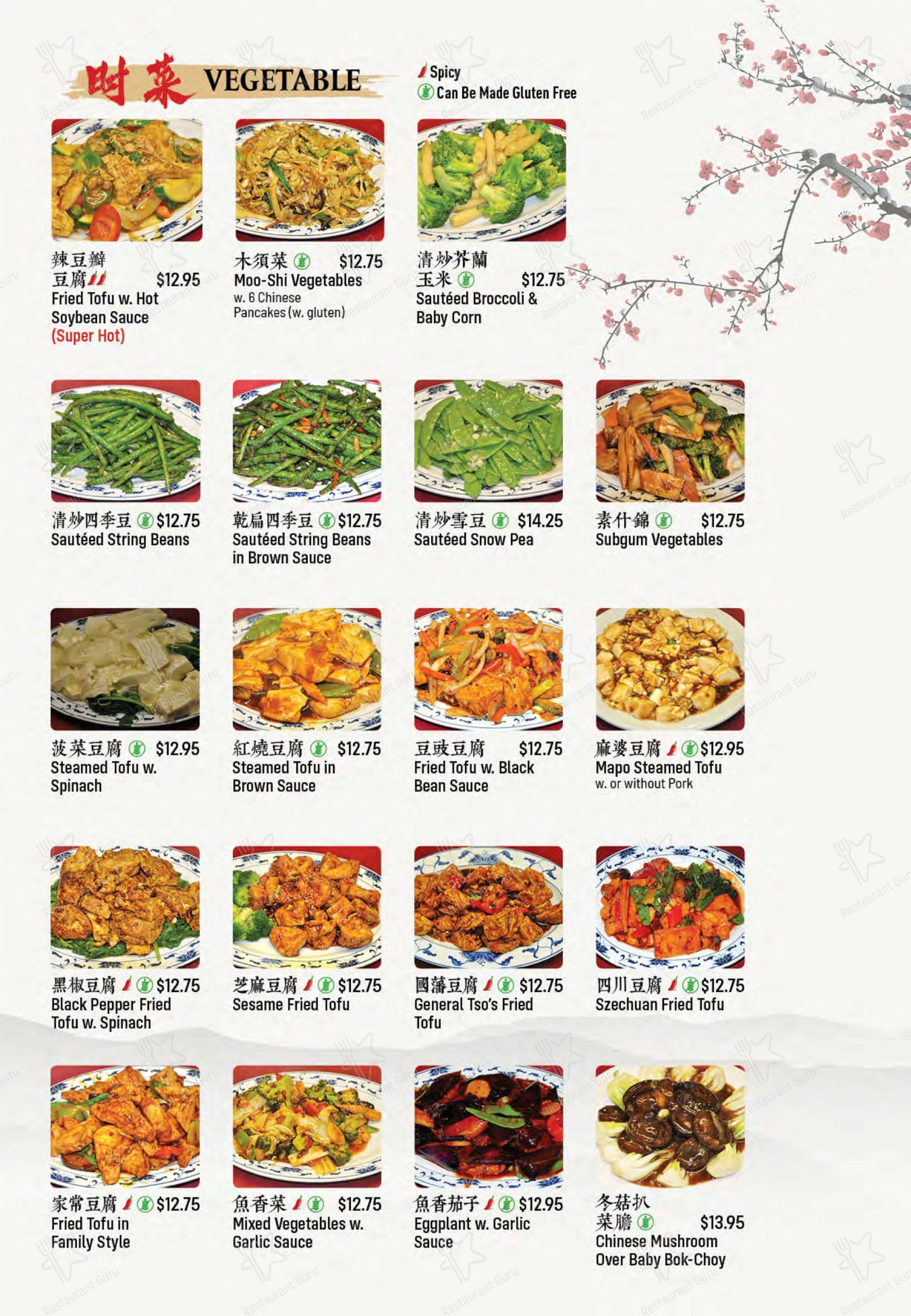 Menu at Chen Garden restaurant, Rochester, Monroe Ave #1843